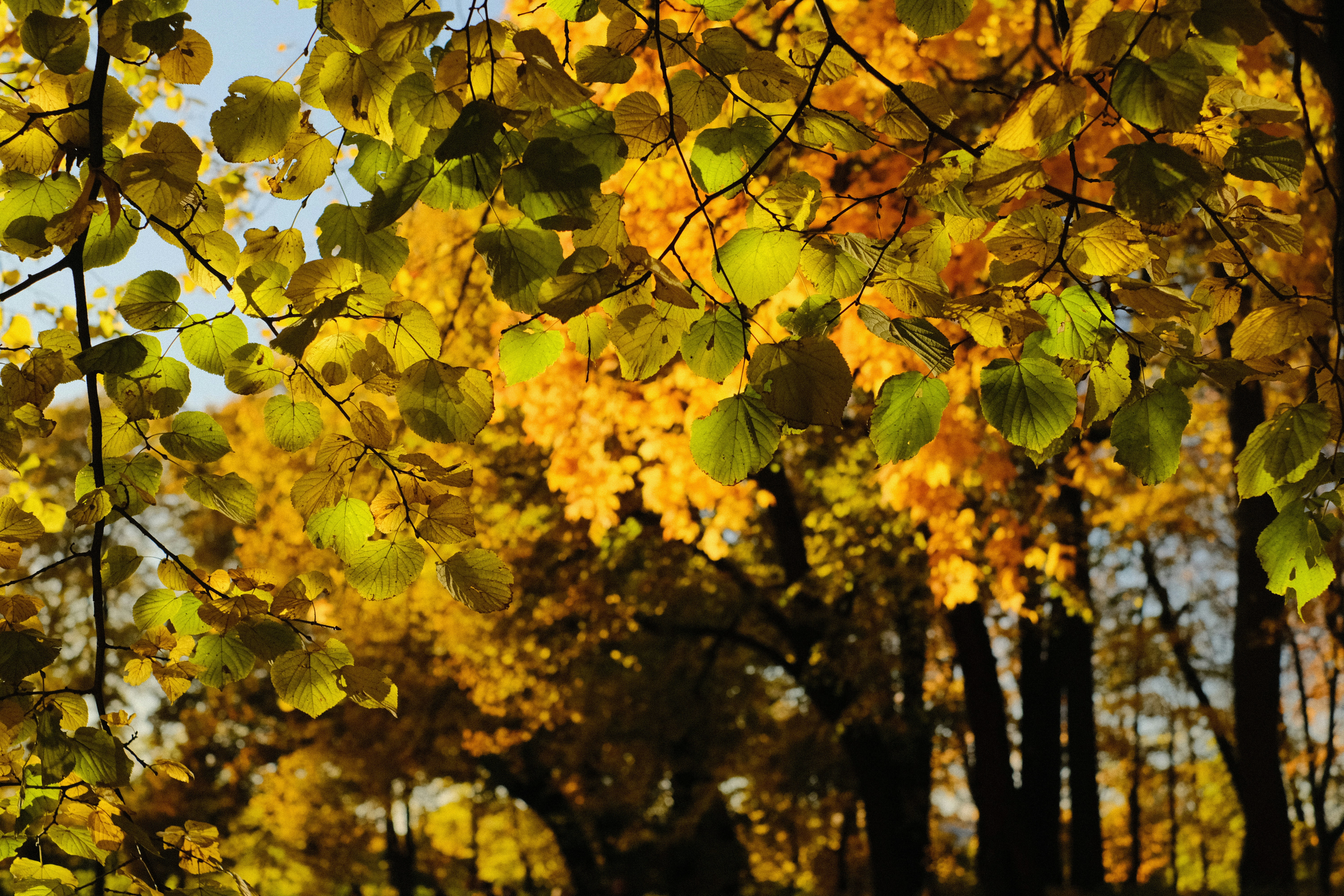 Margarita B (@margaritab) | Komunitas Foto Unsplash