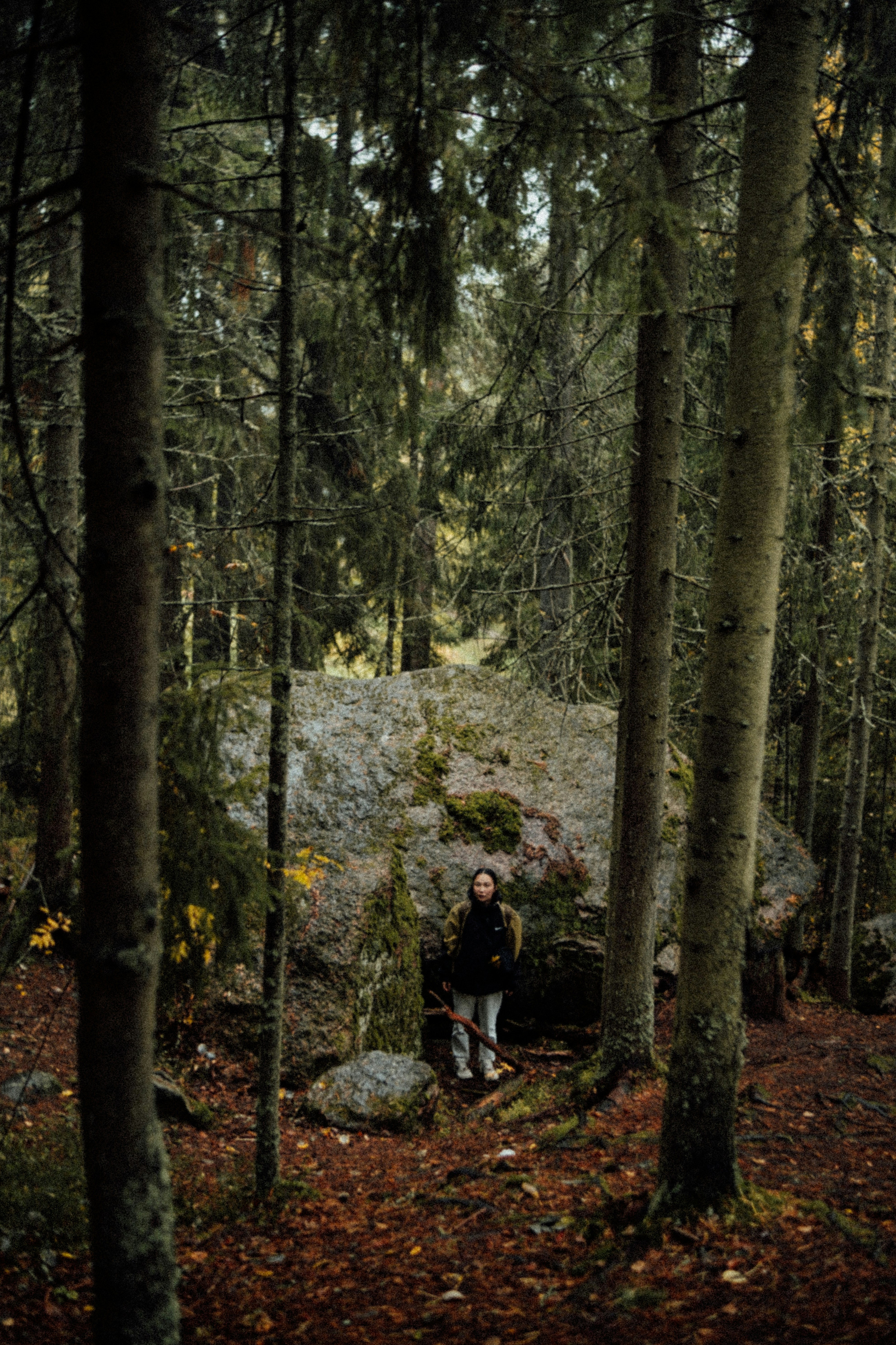 Mossbound Clearing: a solitary silhouette among granite sentinels