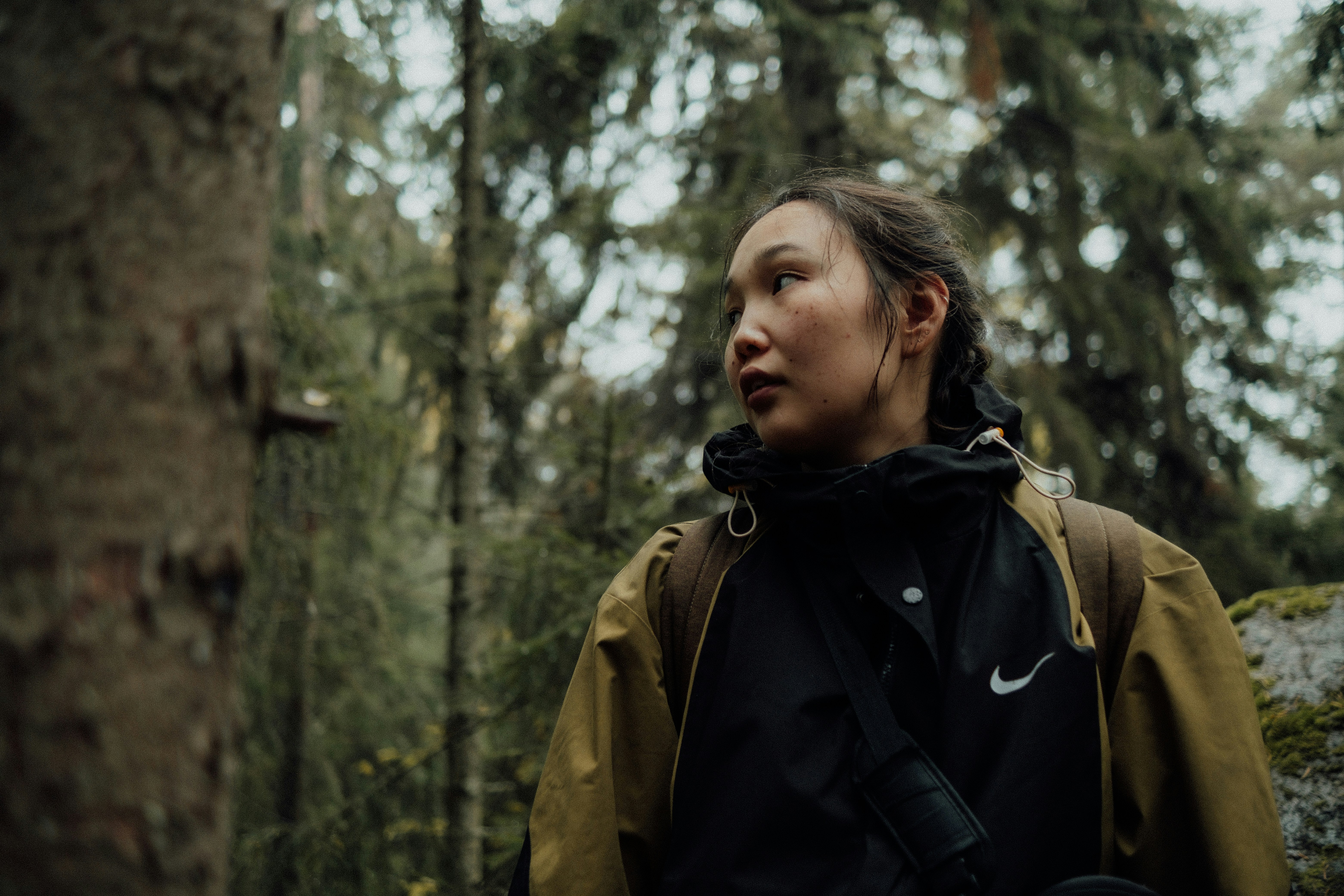 Gaze Through the Pines: A Portrait of a Quiet Wanderer