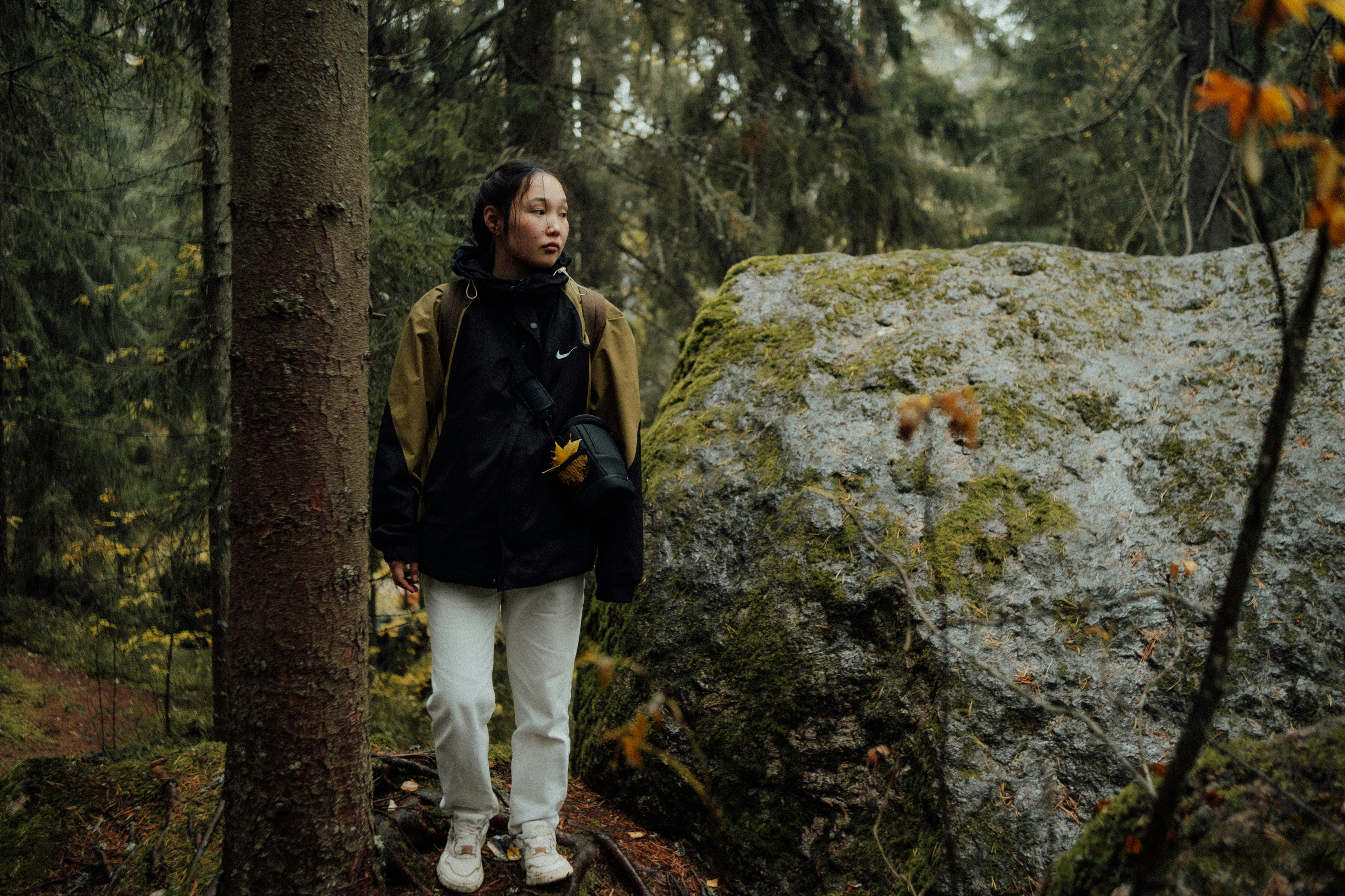 Forest Sentinel: A Quiet Moment Between Stone and Branches