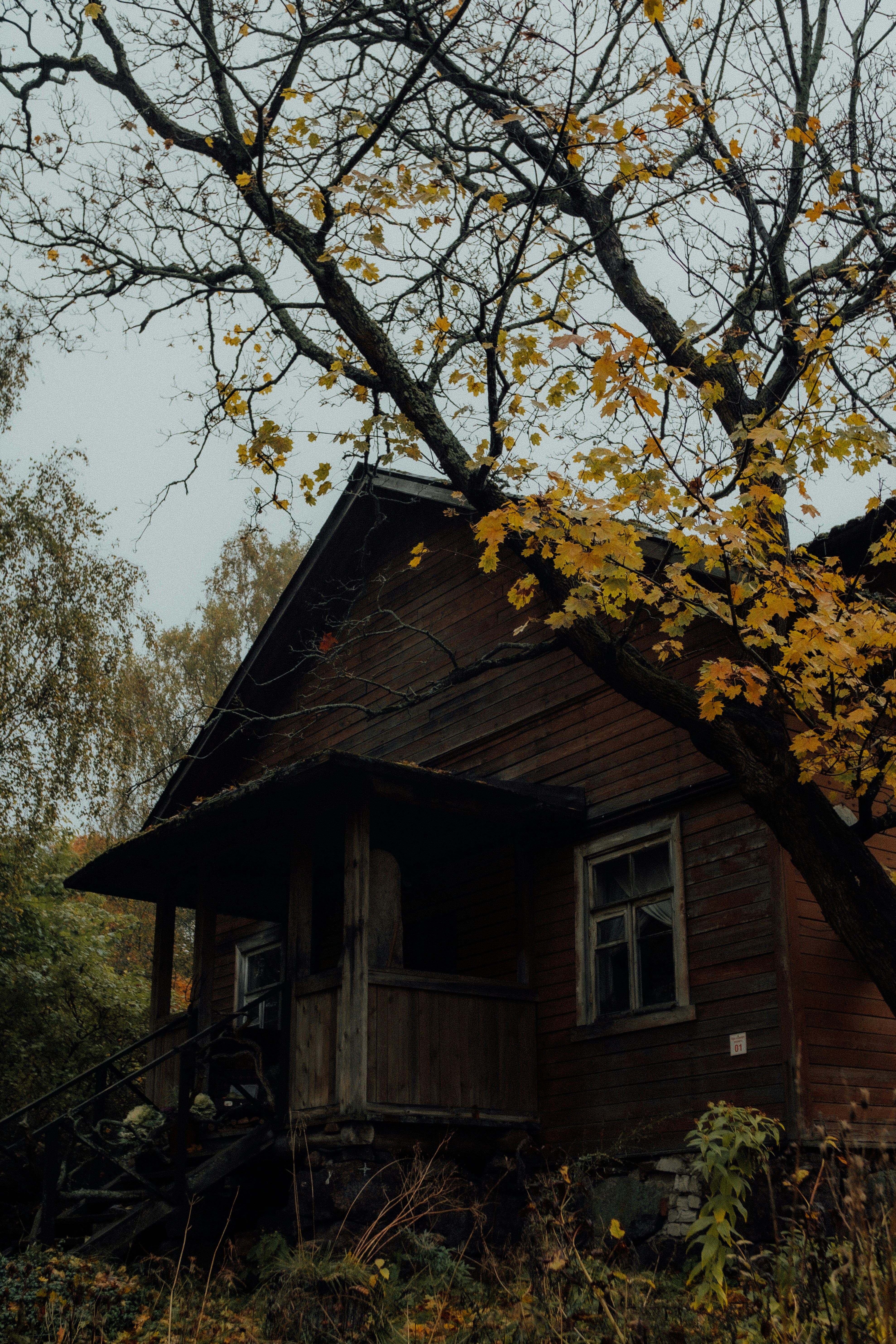 Old wooden house with autumn trees in the foreground