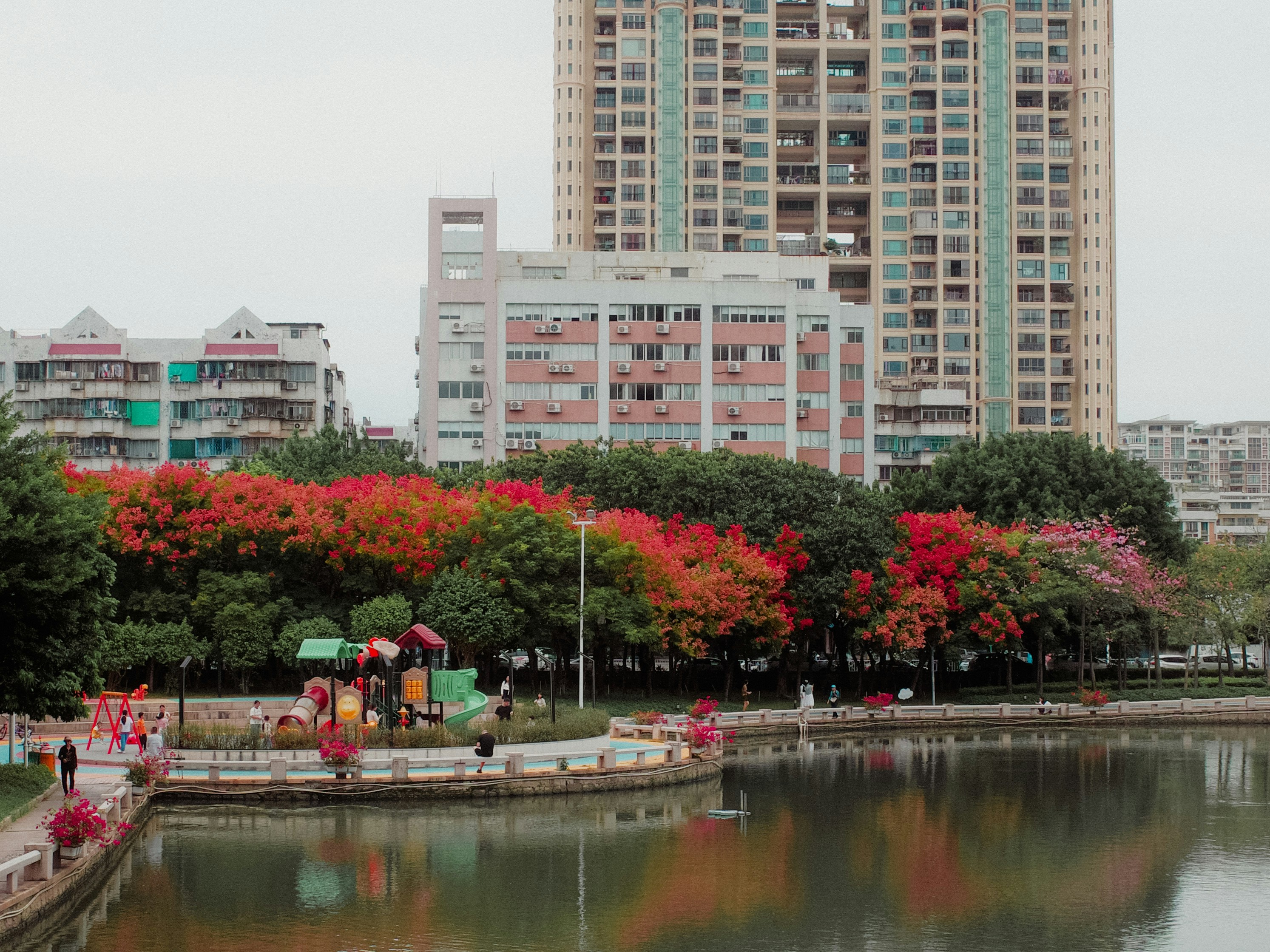 Urban Oasis: Harmony of Nature and Architecture