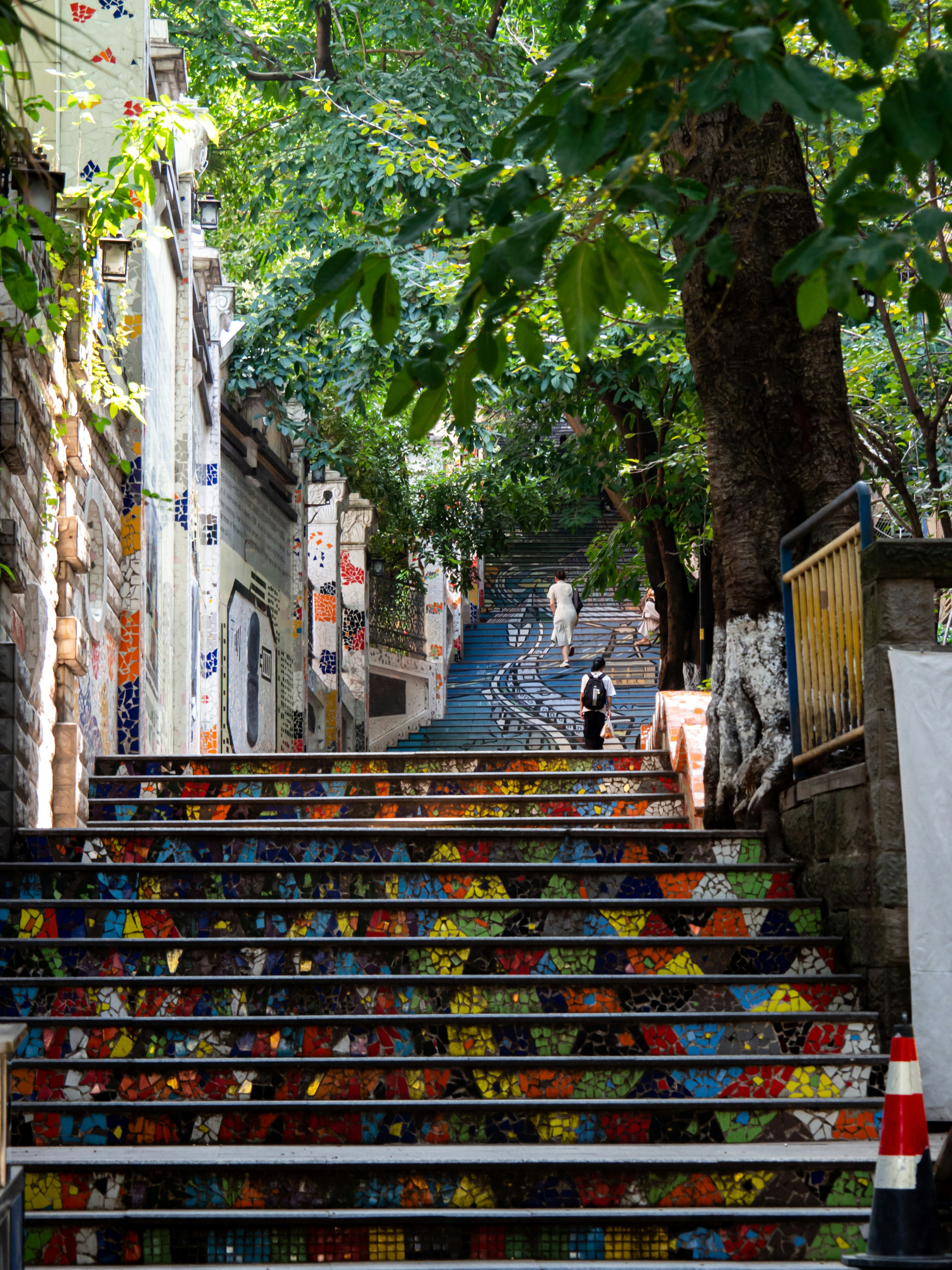 Colorful Ascent Through Nature's Embrace