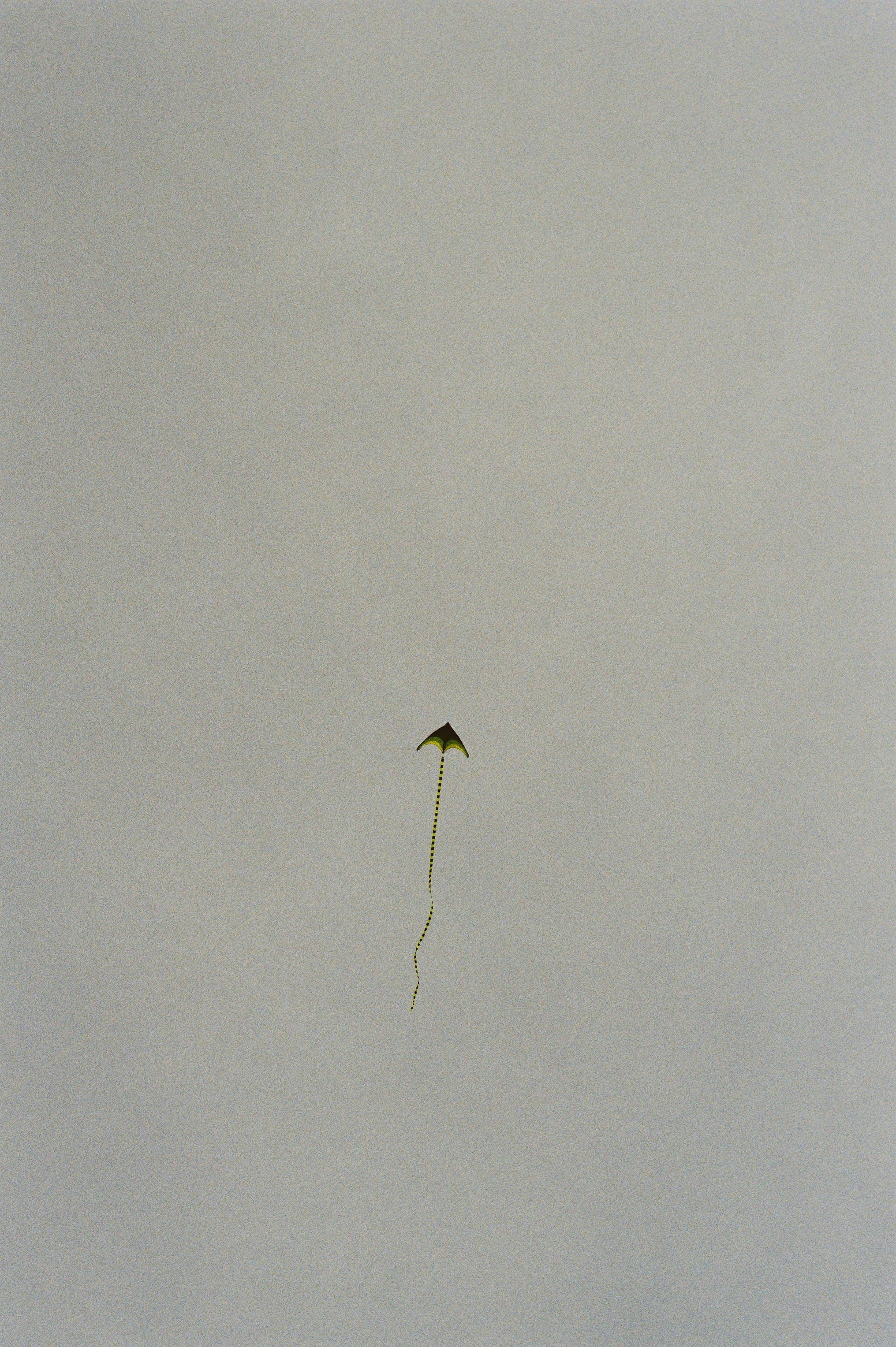 A lone kite flies high in a pale sky.