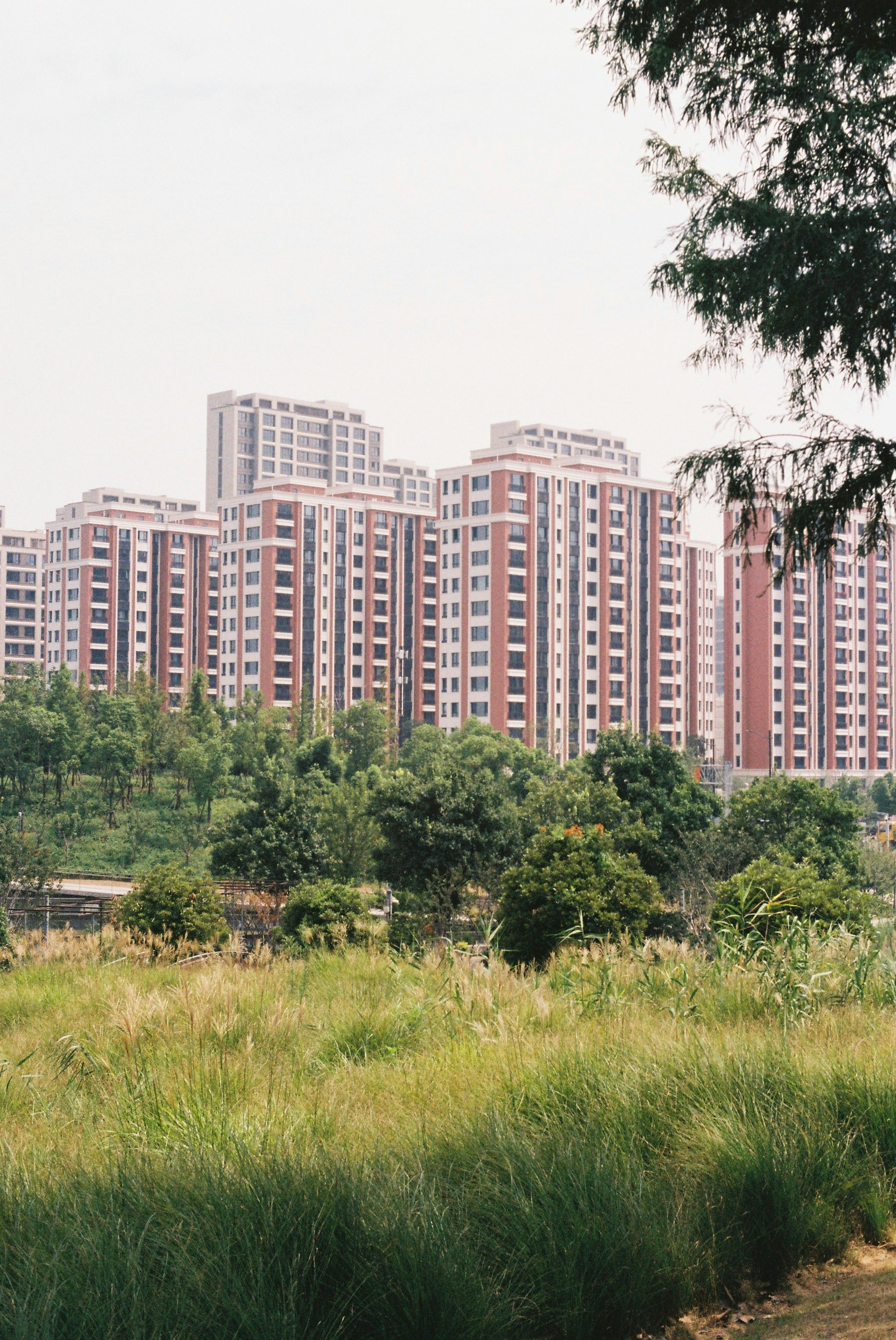 Apartment buildings nestled among green trees and grass.