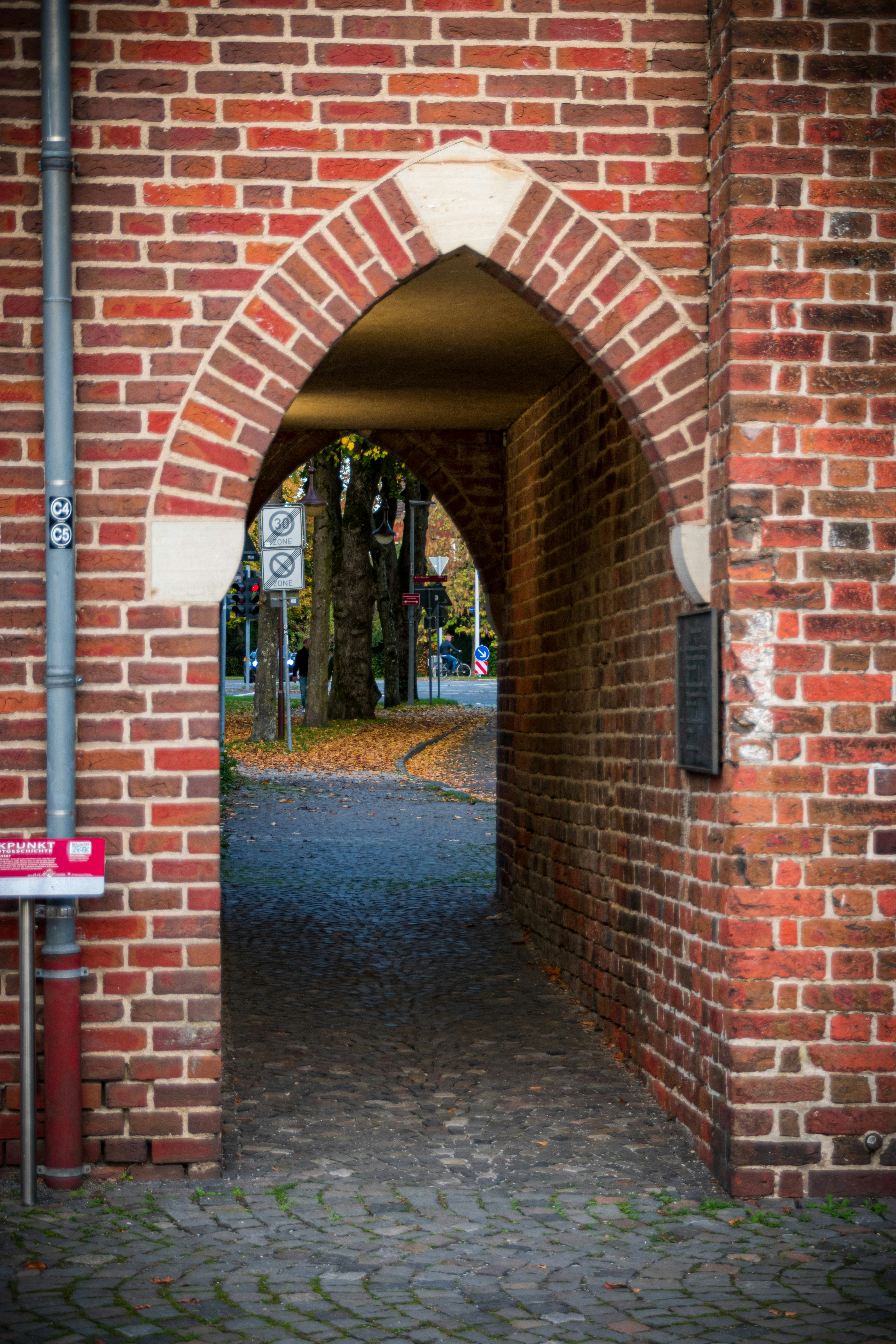 Through the Archway: A Journey into Autumn's Embrace