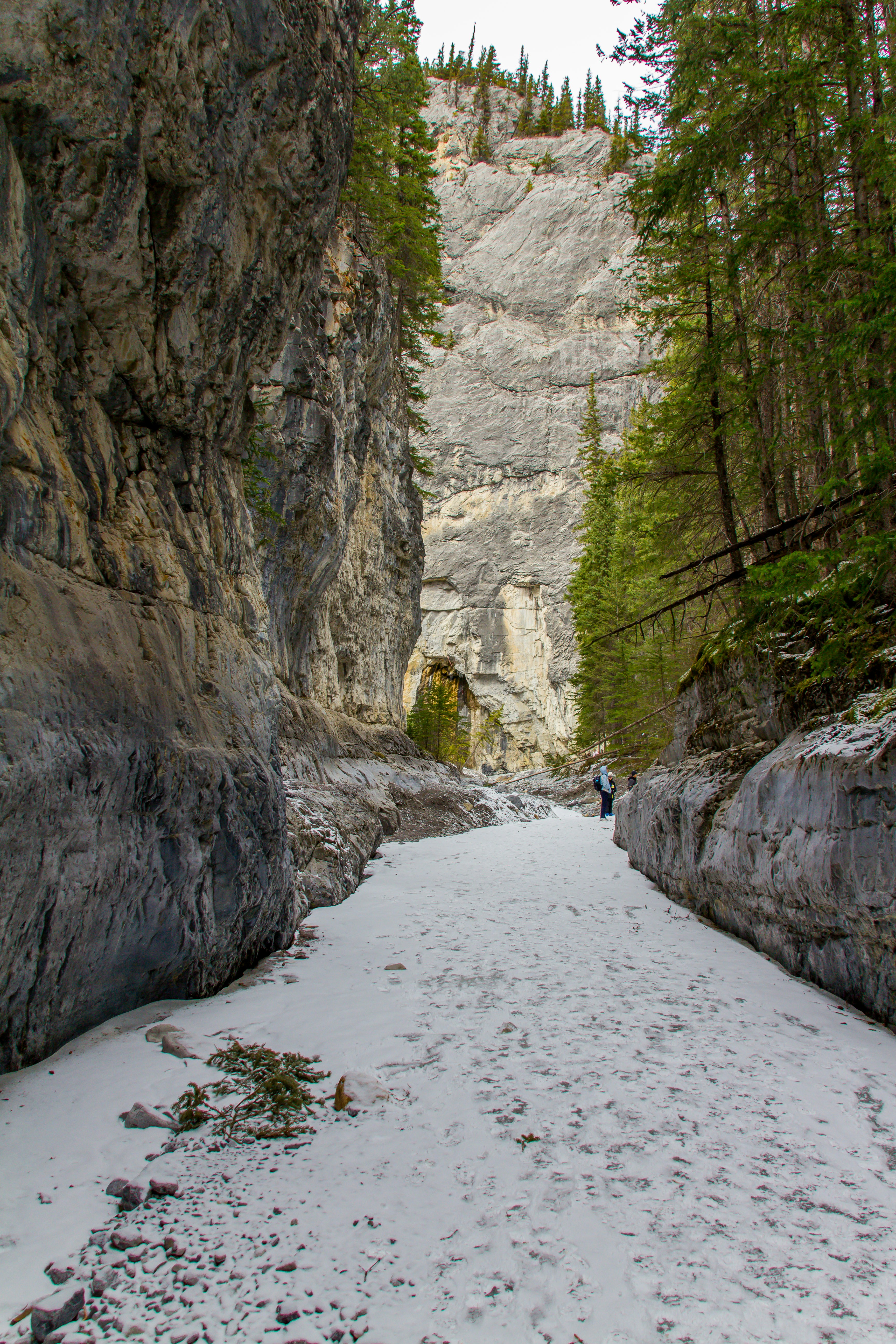 Whispers of the Canyon: A Journey Through Nature's Sculptures