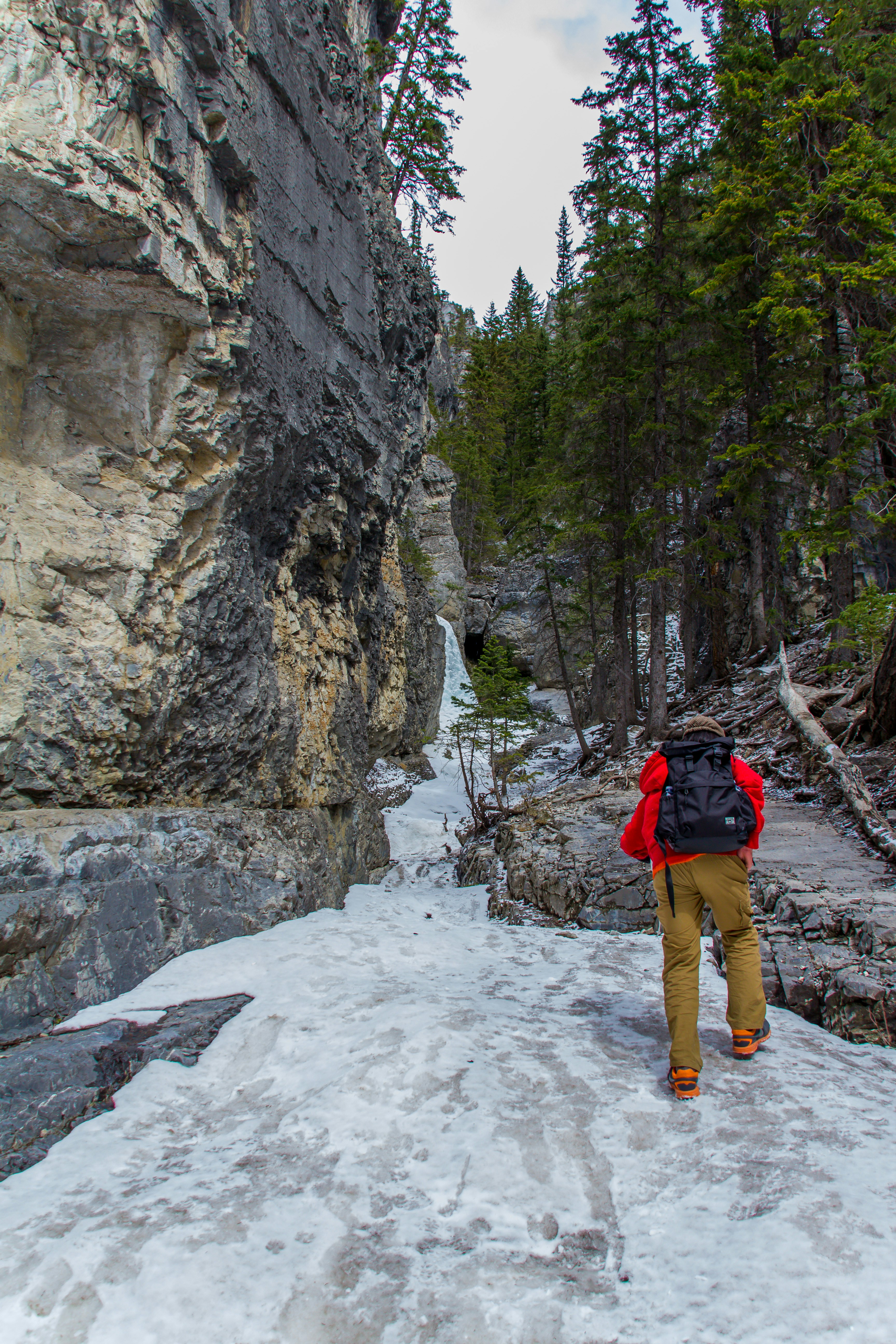 Journey Through the Winter's Embrace