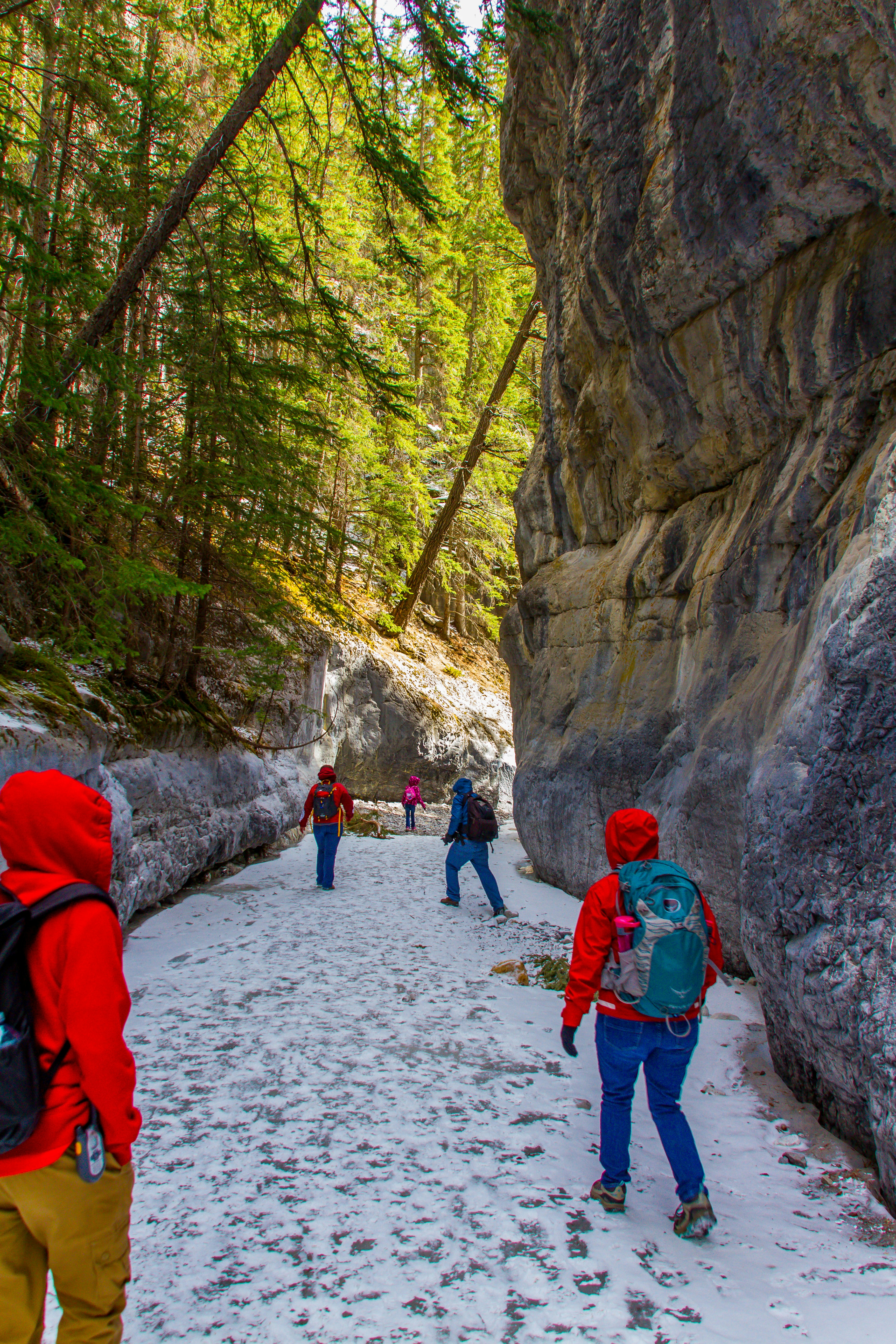 Journey Through the Frosted Canyon