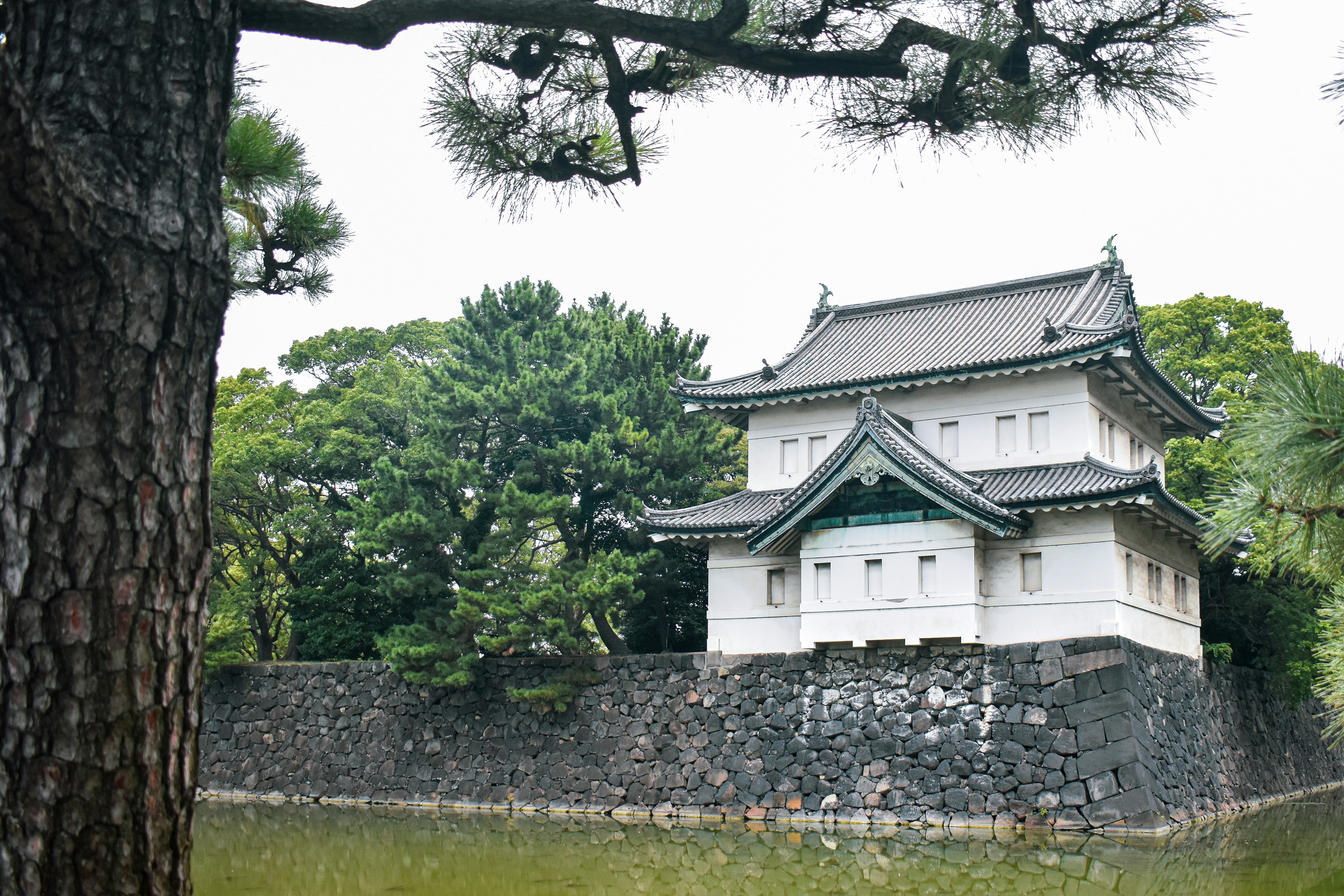 White japanese building with stone wall and moat