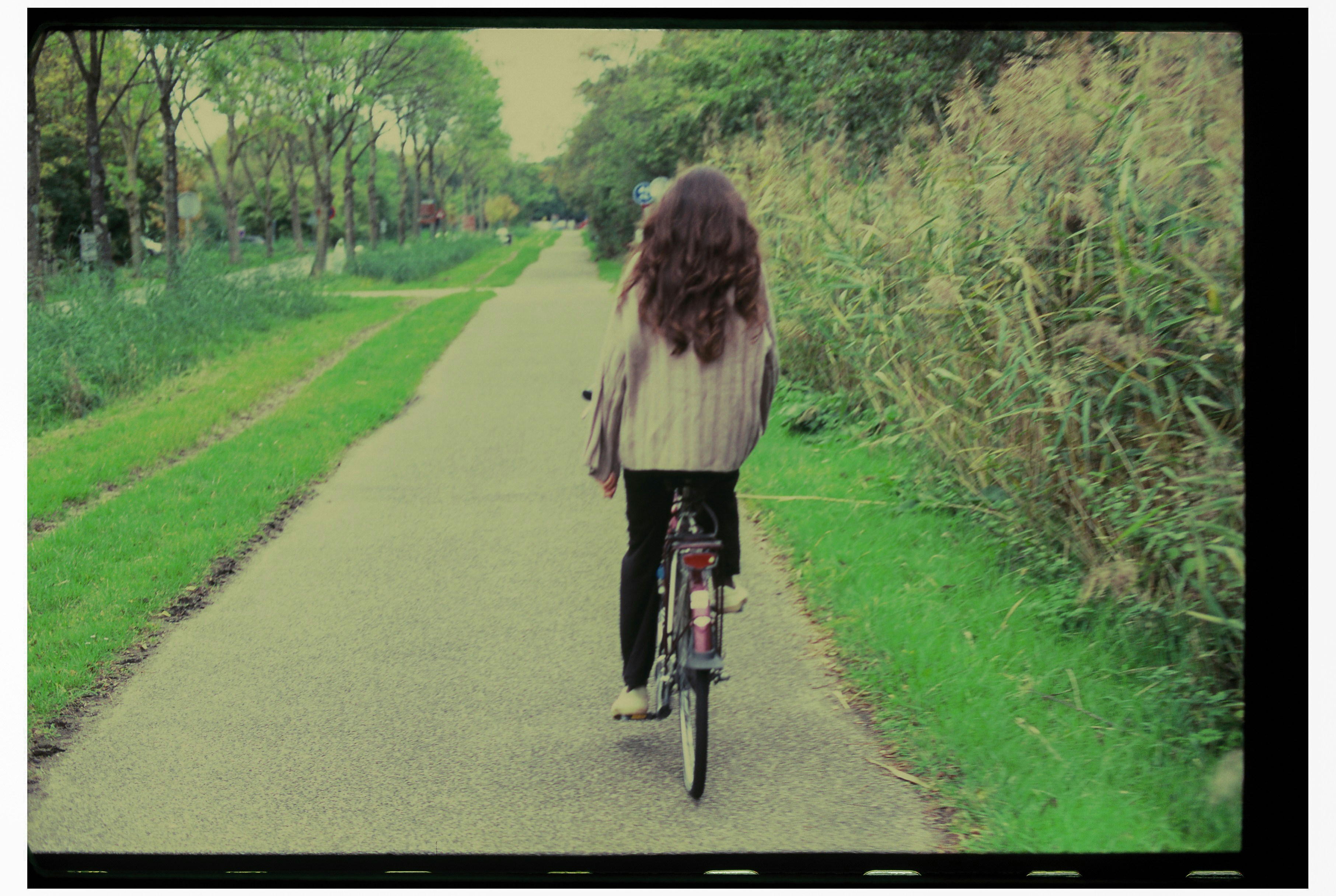 Pedal Through Nature's Embrace