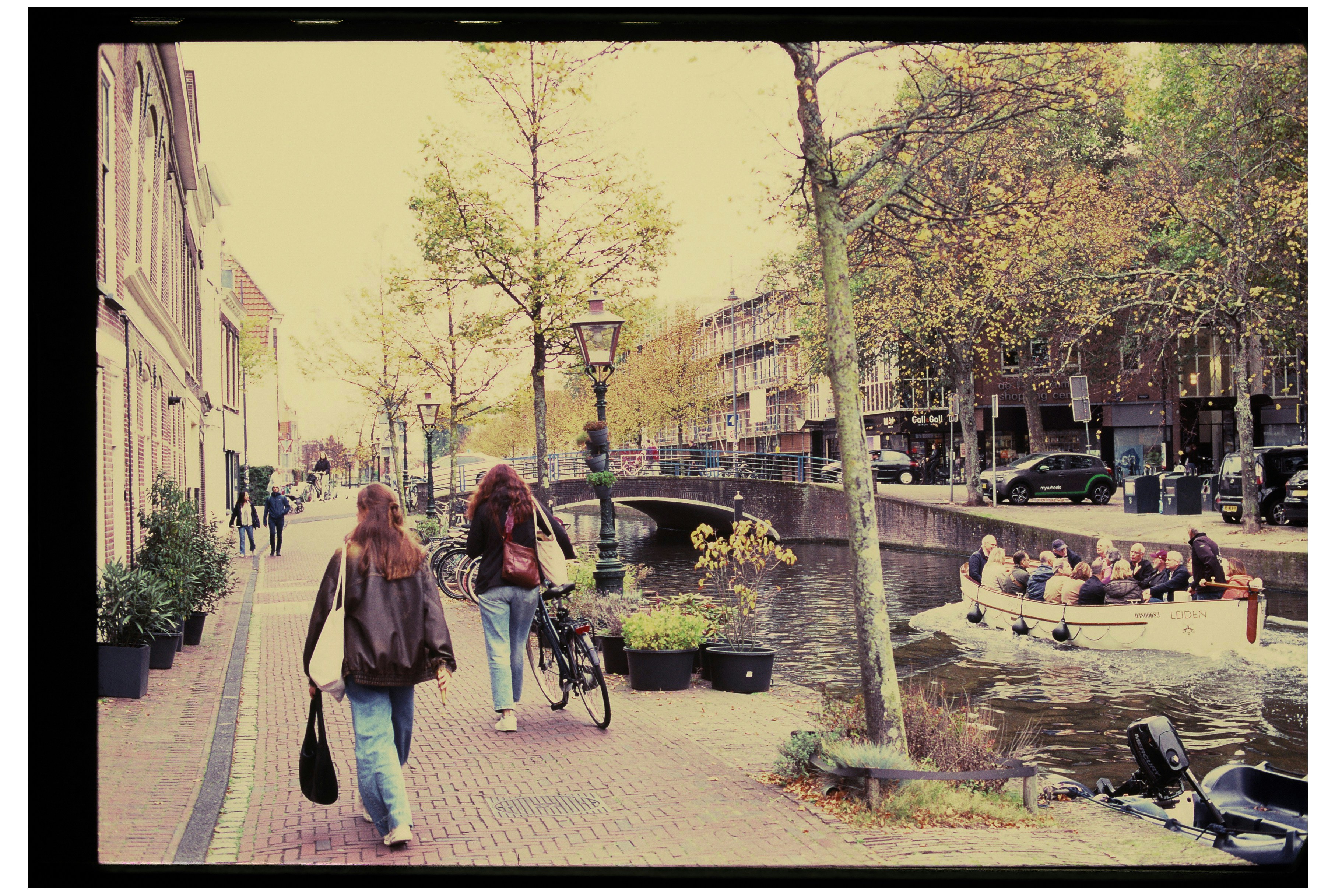 Canalside Stroll: A Journey Through Autumn's Embrace