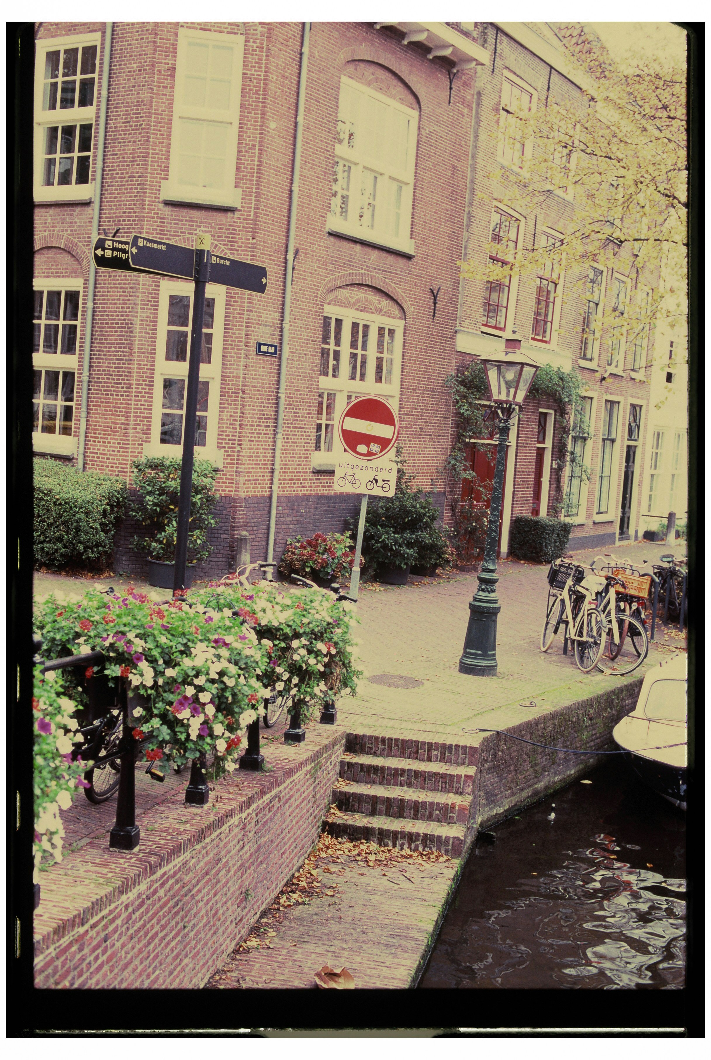 Sunlit Canalfront: Bicycles, Brick Townhouses, and Blooming Planters