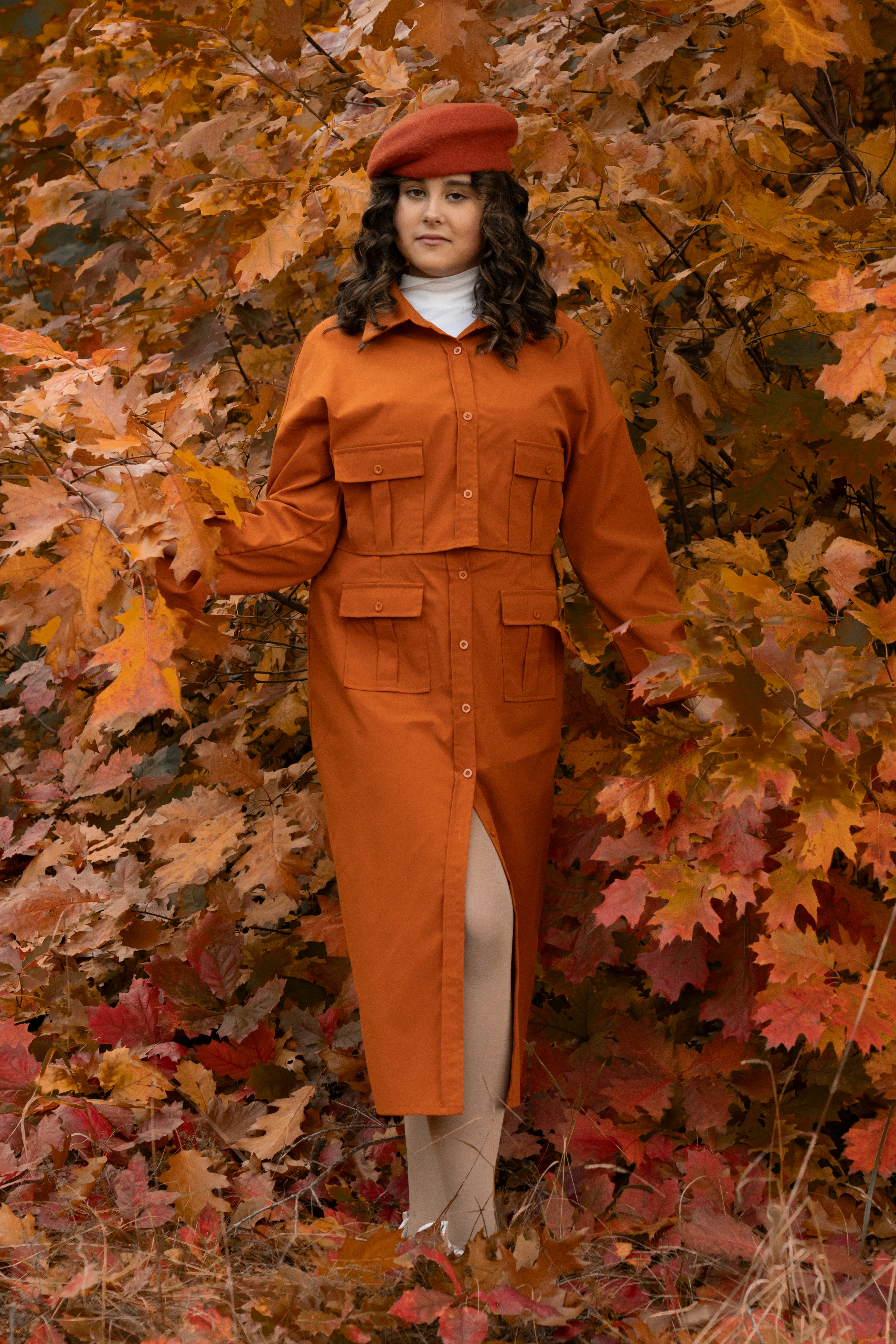 Autumn Elegance in a Sea of Leaves