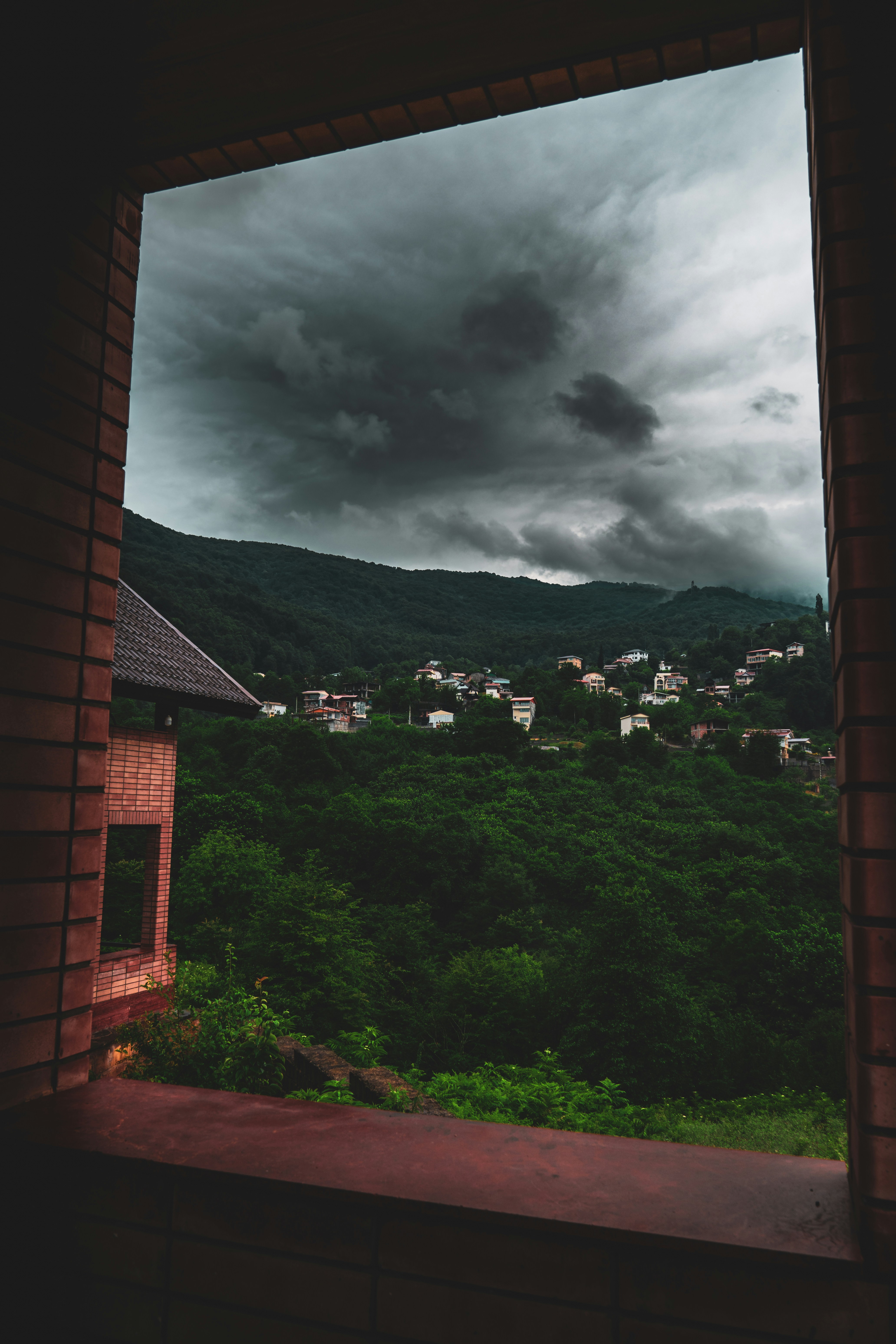 Framed Serenity: A Glimpse into Nature's Embrace