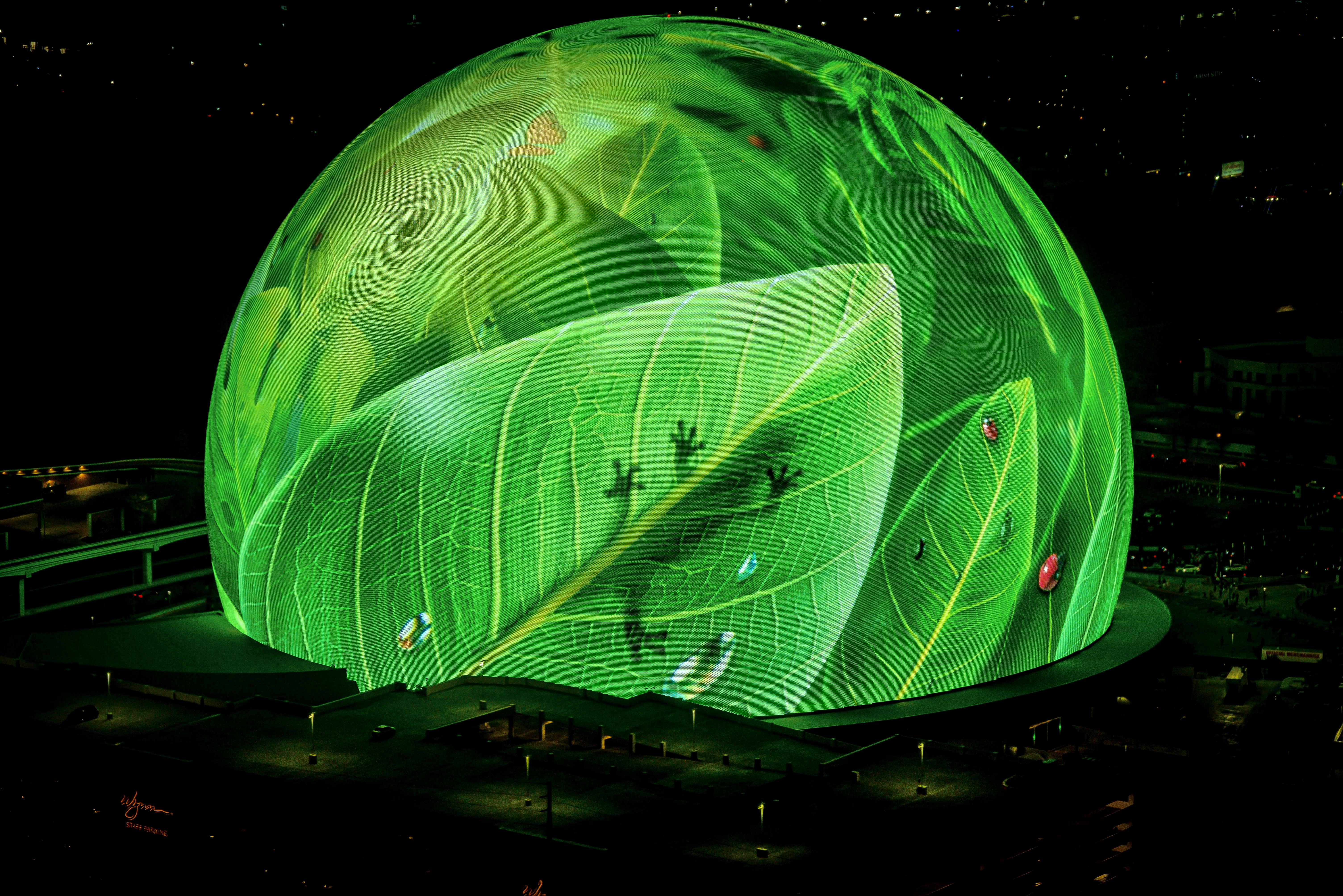Nature's Embrace: A Luminous Leafy Sphere