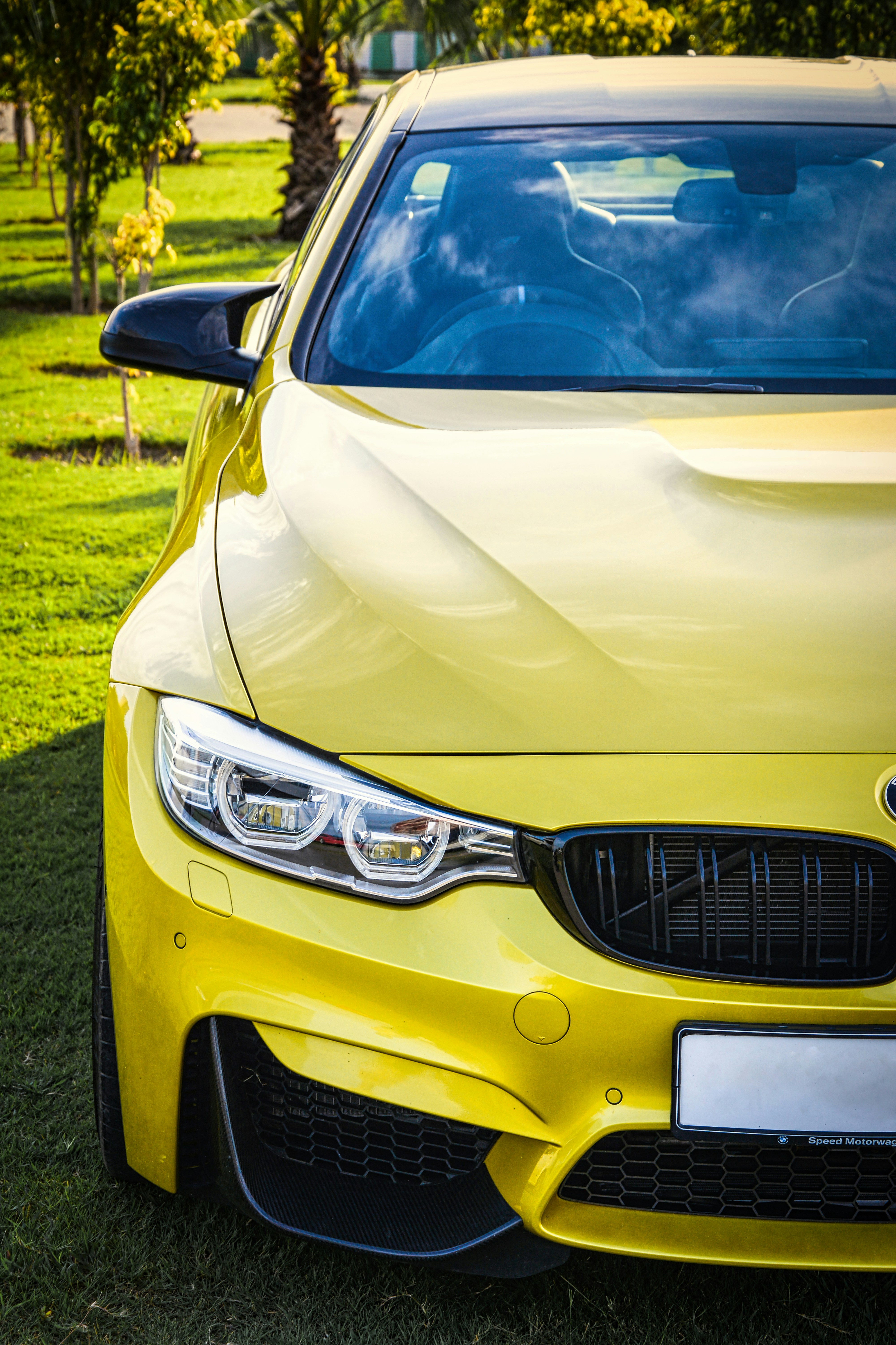 Sun-kissed curves and precision lines