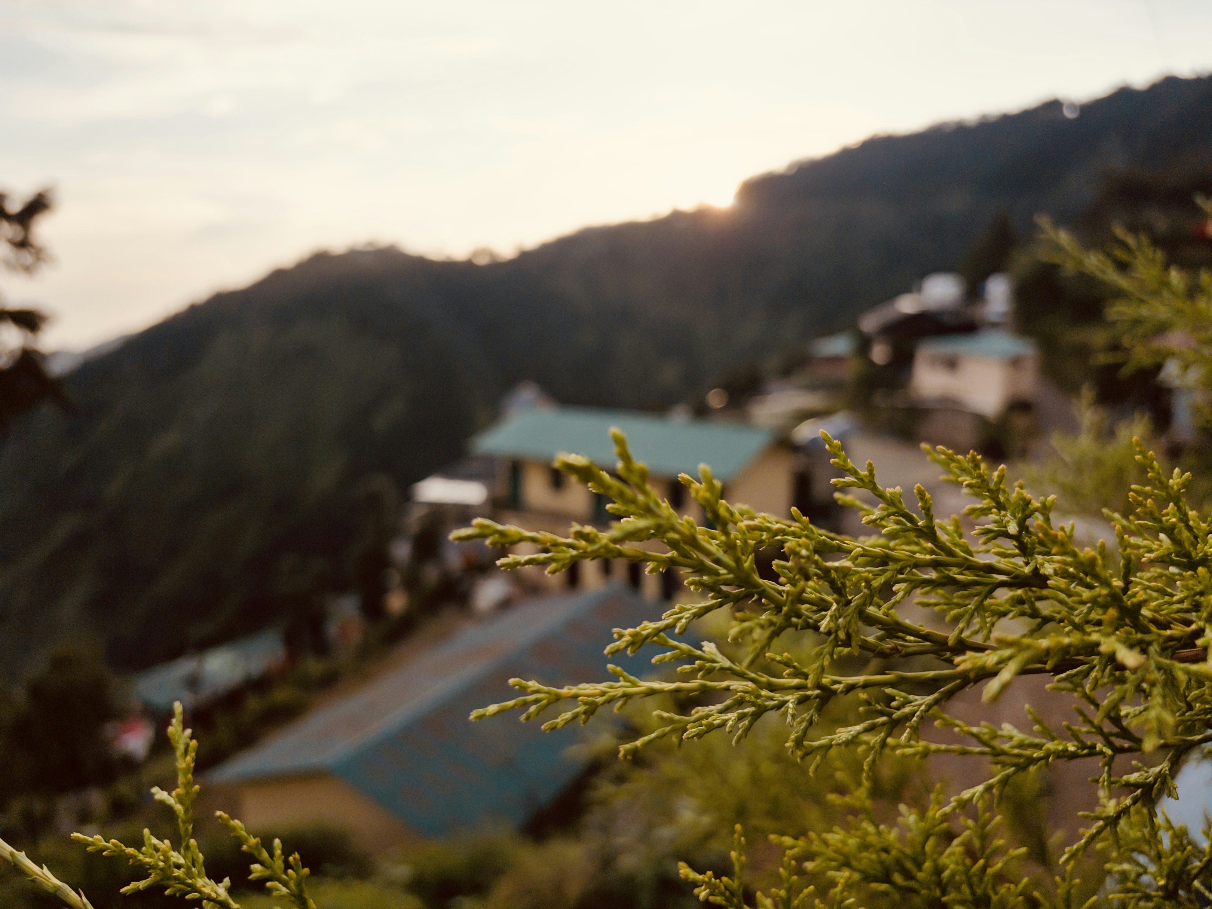 Whispers of Nature: A Serene Mountain Retreat