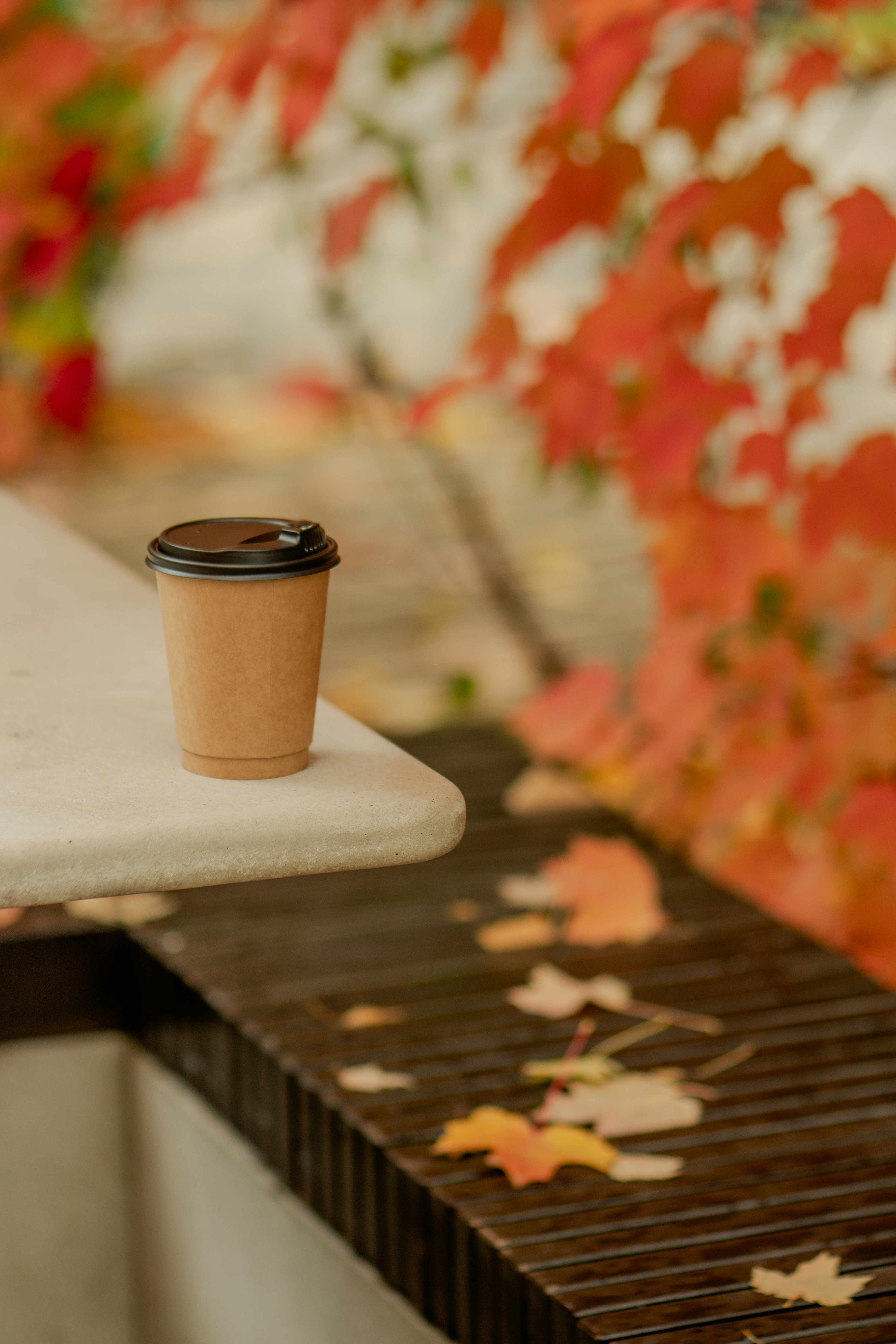 Autumn's Sip: A Moment of Reflection