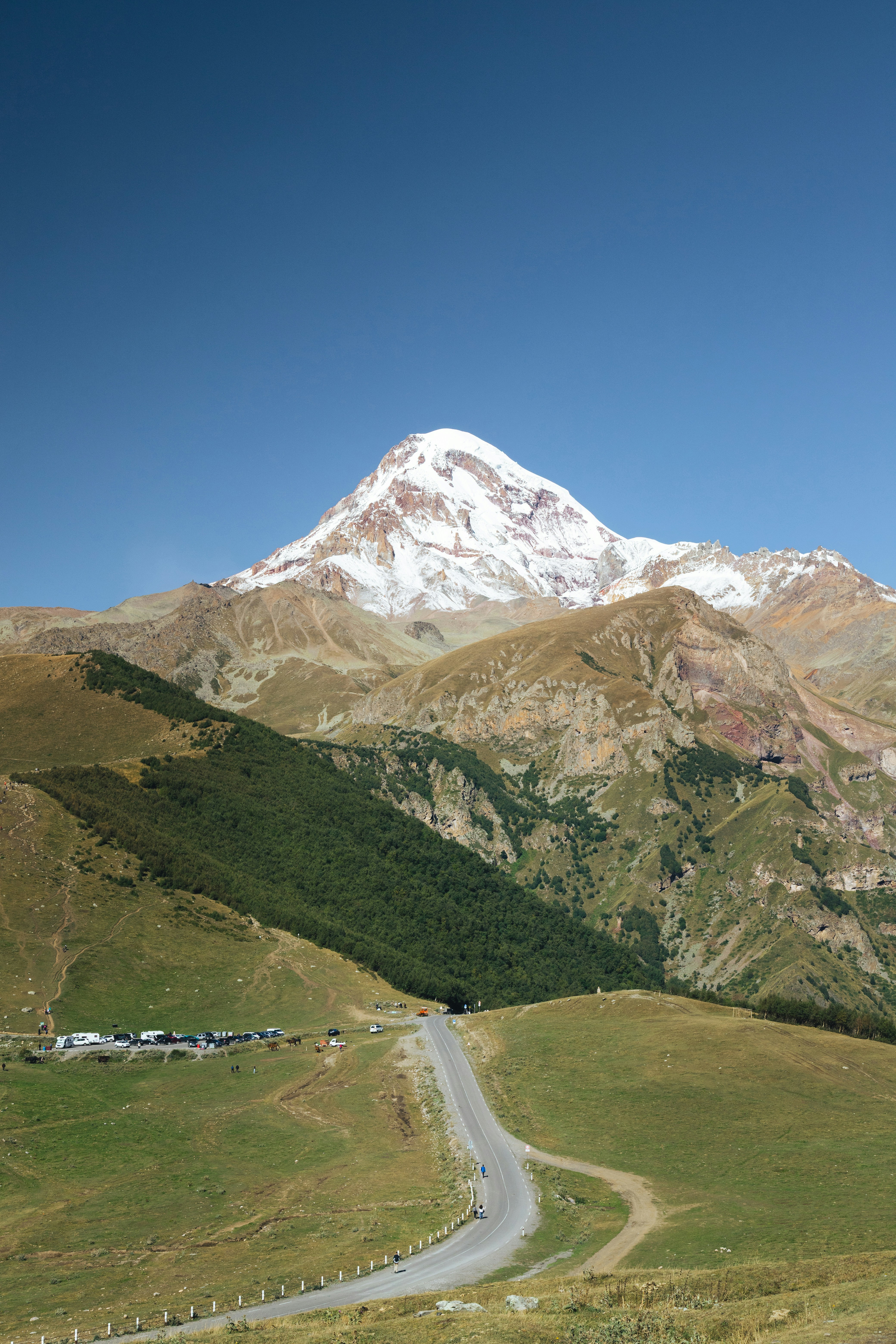 Majestic Ascent: The Journey to the Summit