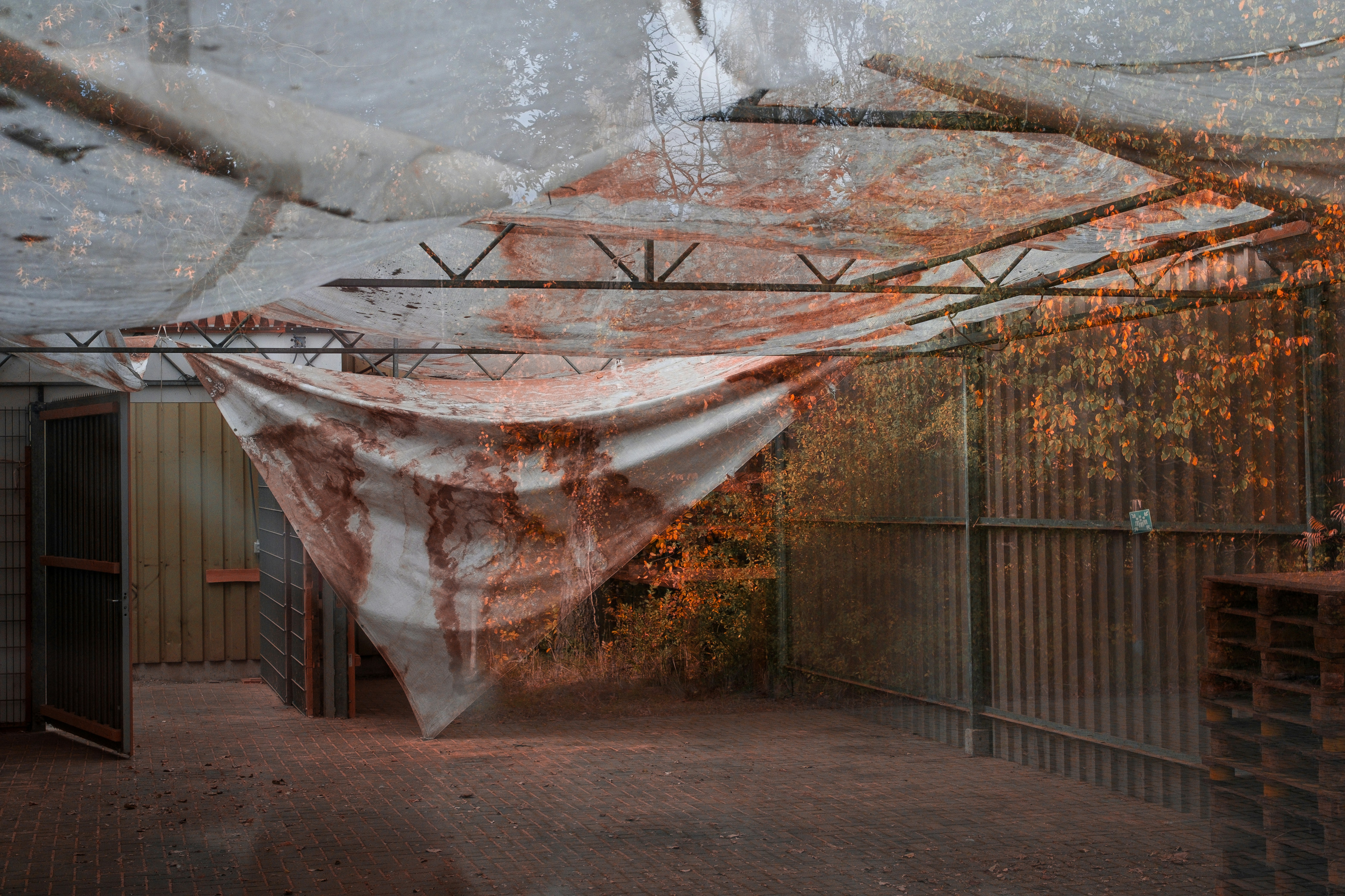 Whispers of Autumn in a Forgotten Space