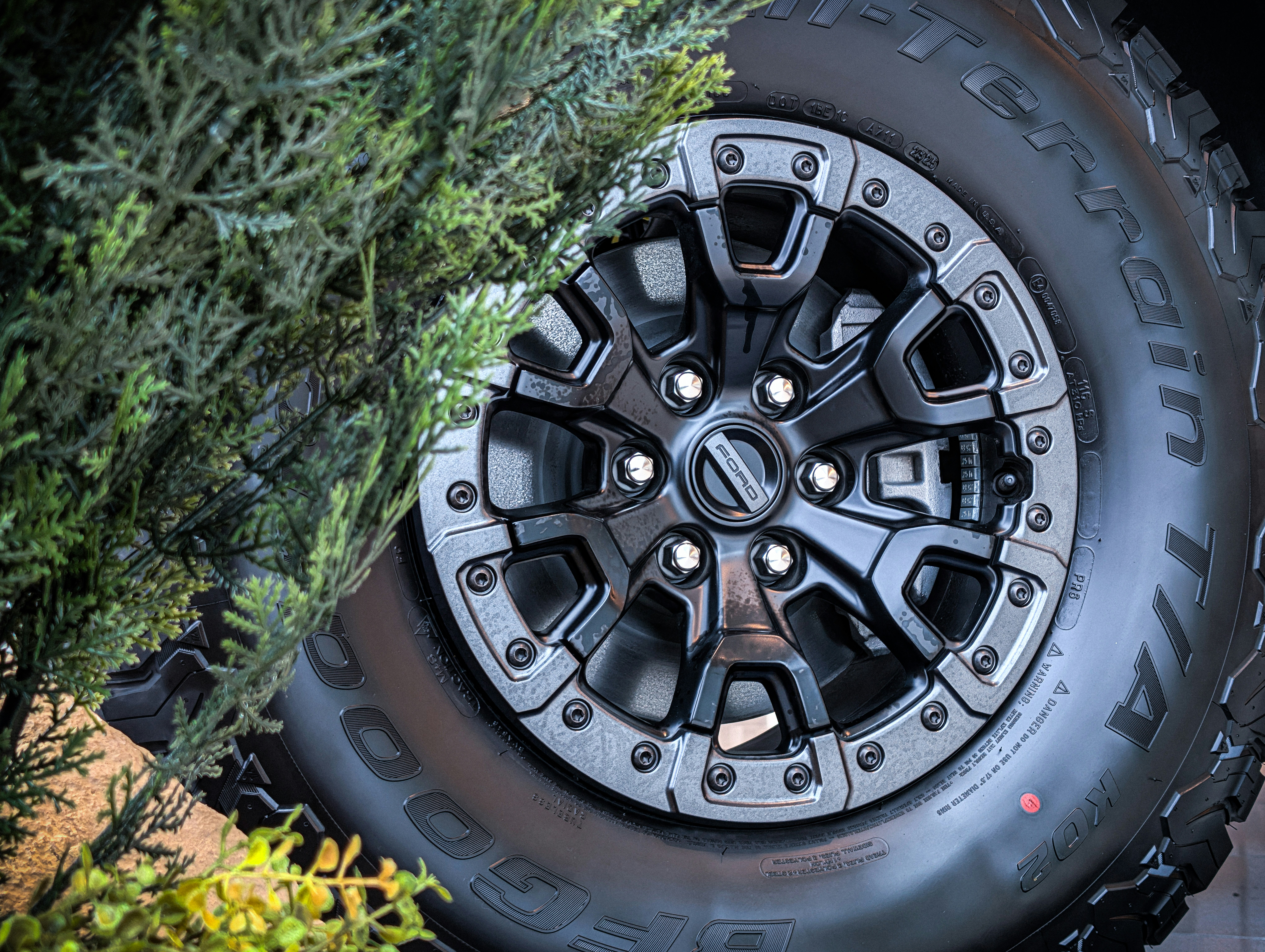 This striking, close-up captures the formidable essence of off-road prowess, where rugged tire tread meets a sleek, dark wheel, beautifully contrasted by the wild, vibrant greenery. It powerfully evokes a sense of unmatched capability and a daring call to adventure on the unbeaten path. Boulevard Ford in Millsboro
