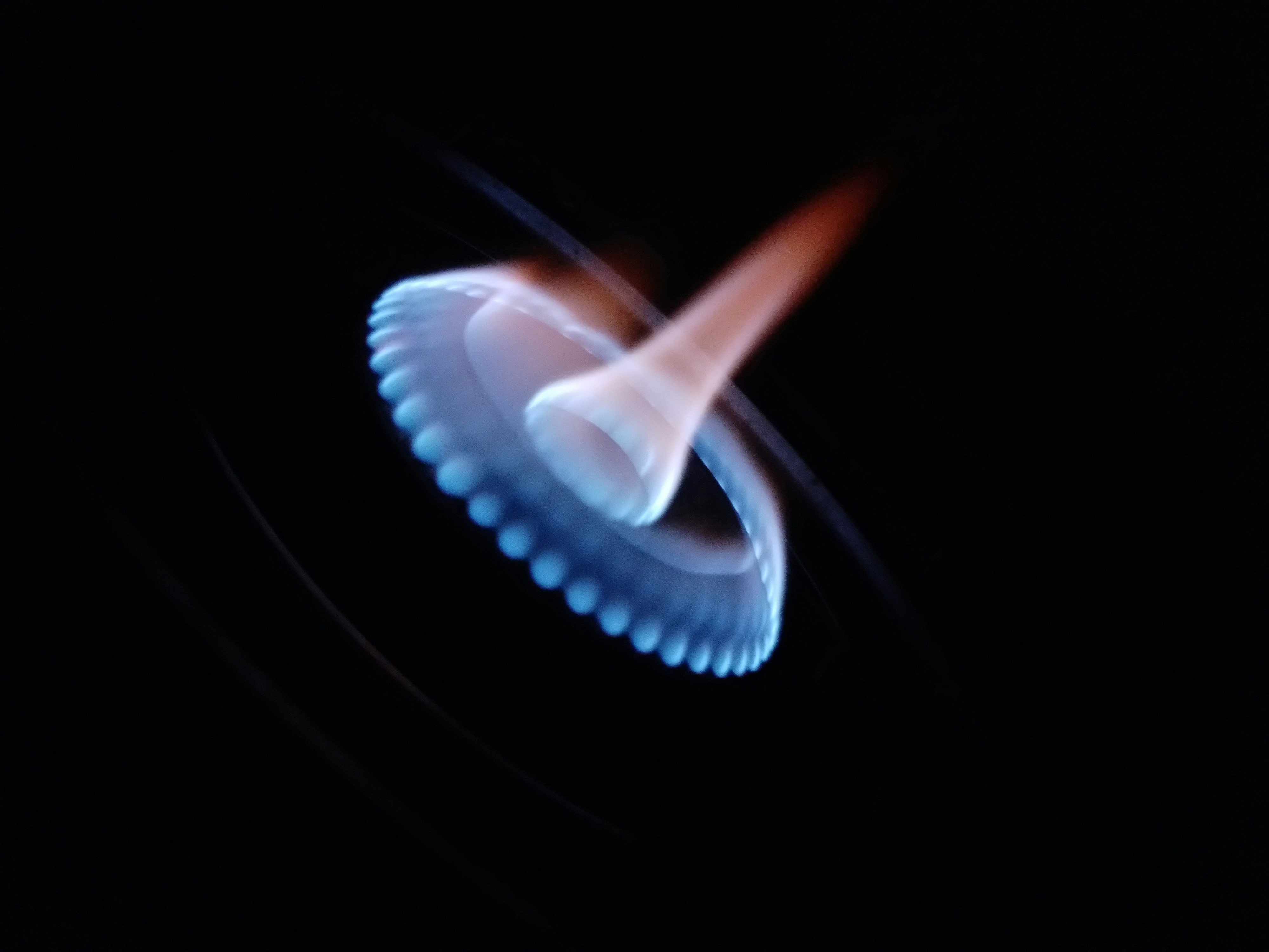 Blue gas flame swirling elegantly from a stovetop burner against a dark background.
