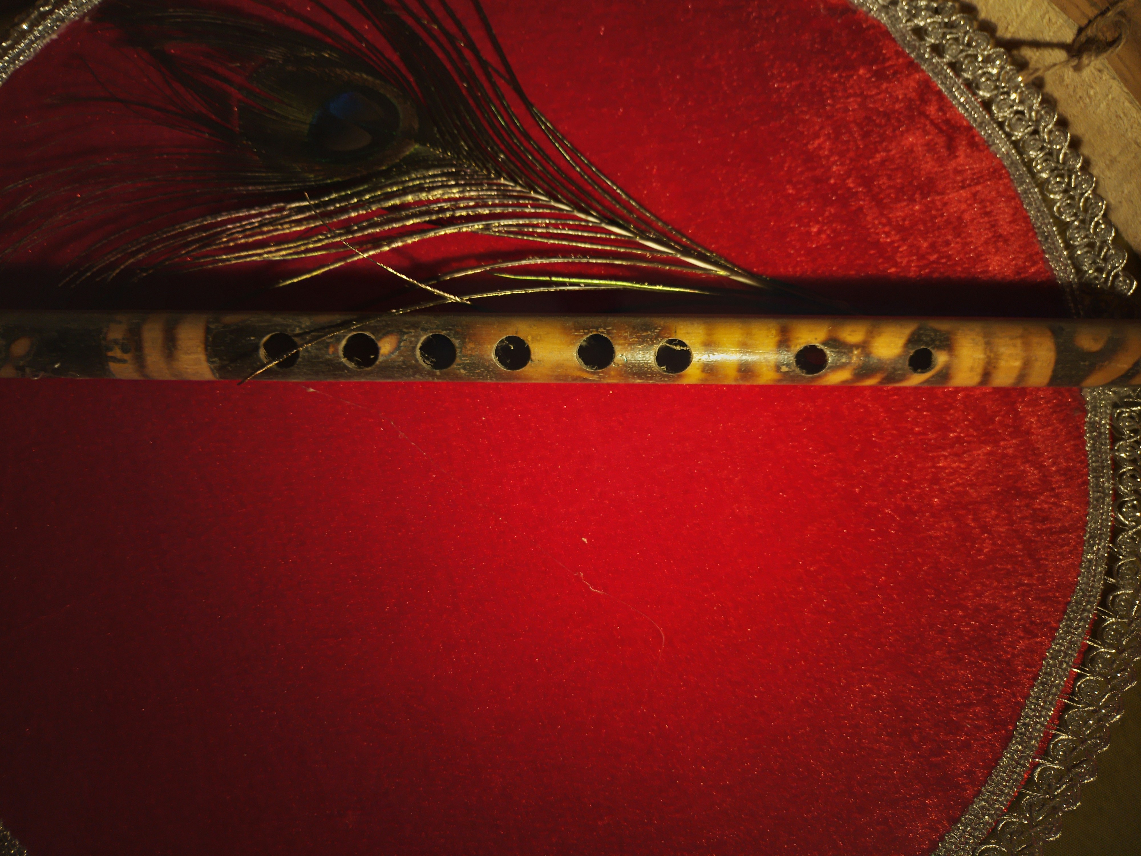 A flute with a peacock feather on red velvet