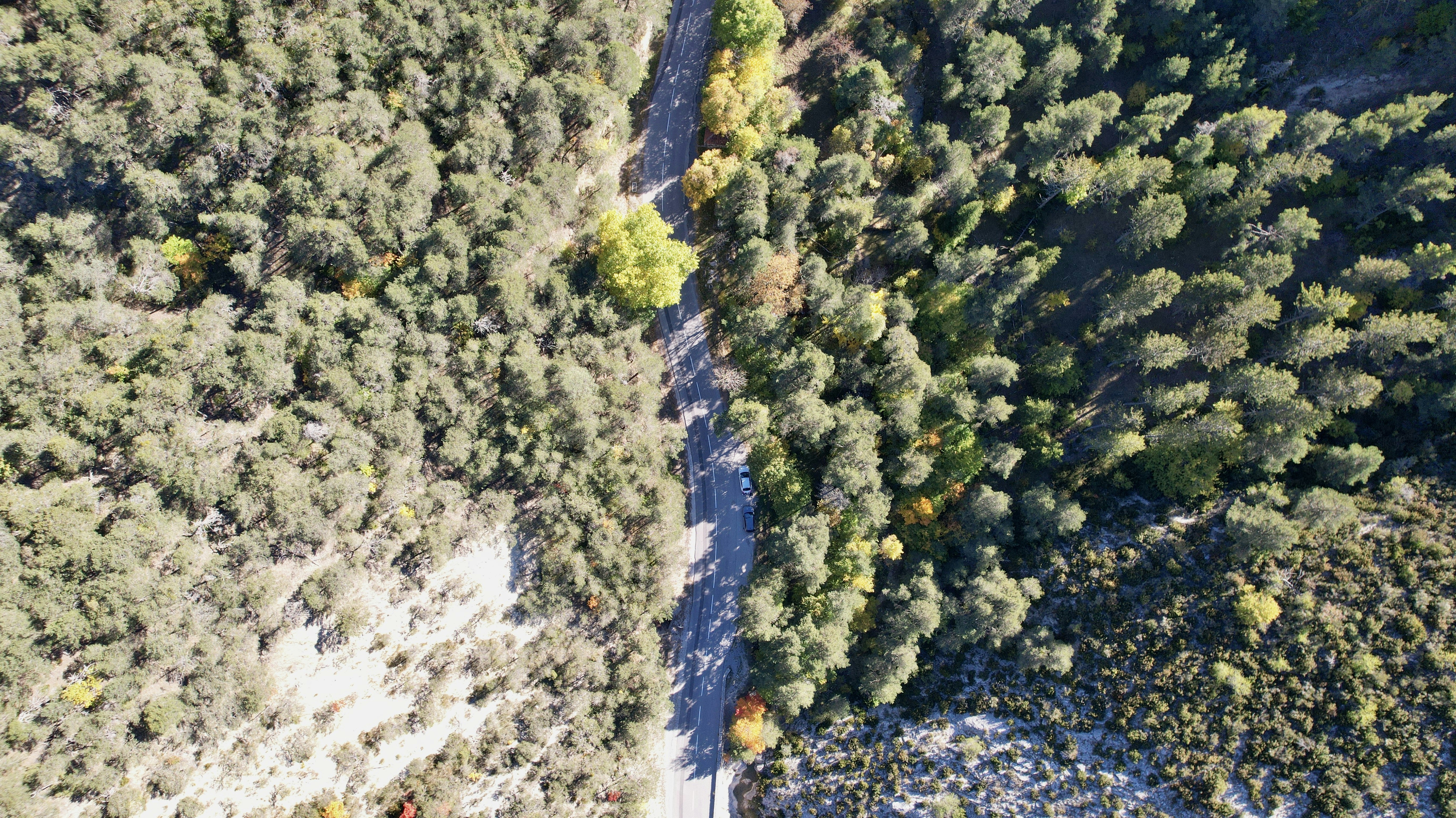 Top-Down Shot from the Air. Street in the Middle with forest left and right | Aerial view of a road dividing dense forests