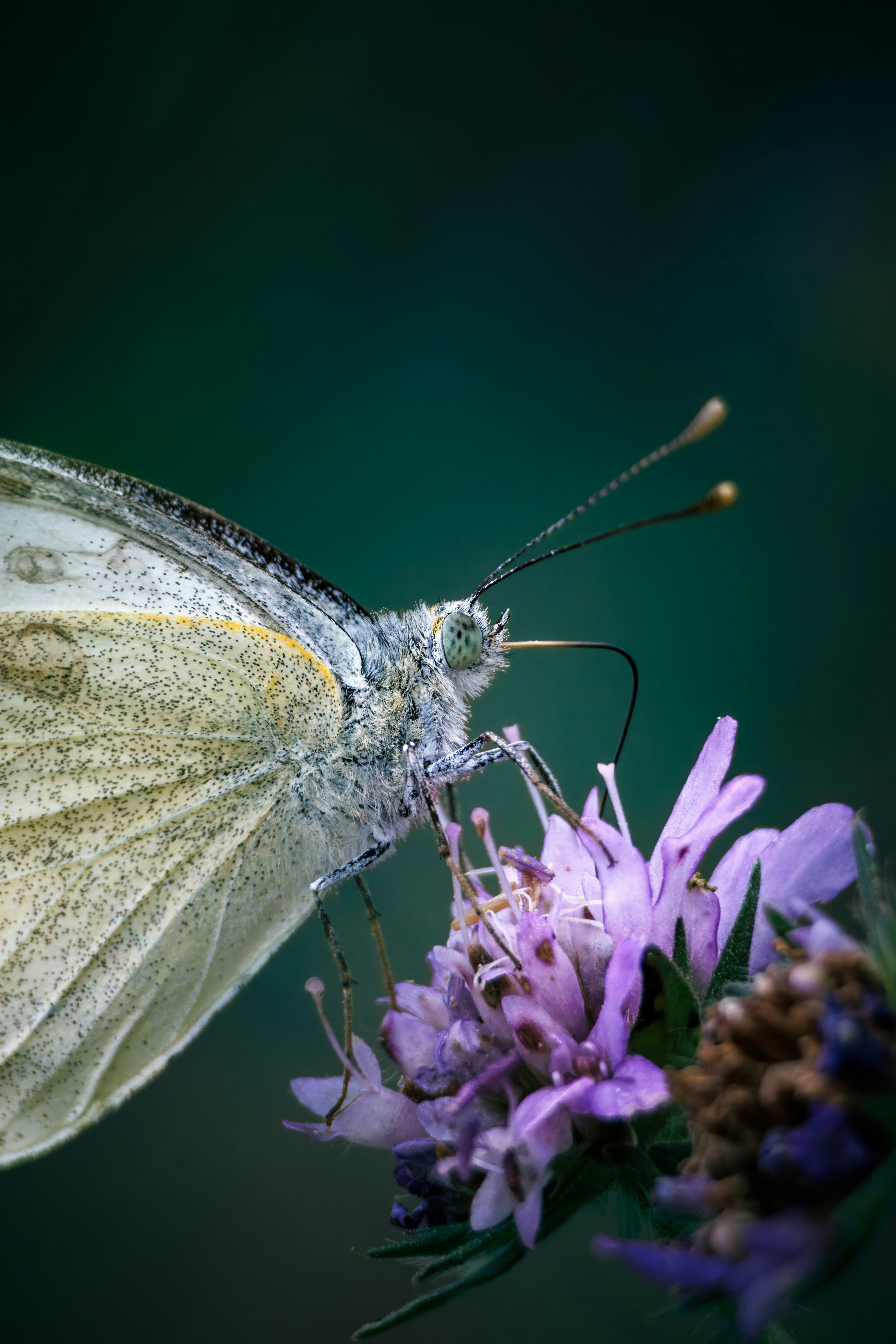 Photo by Matsvei Liatkouski with Canon EOS R10