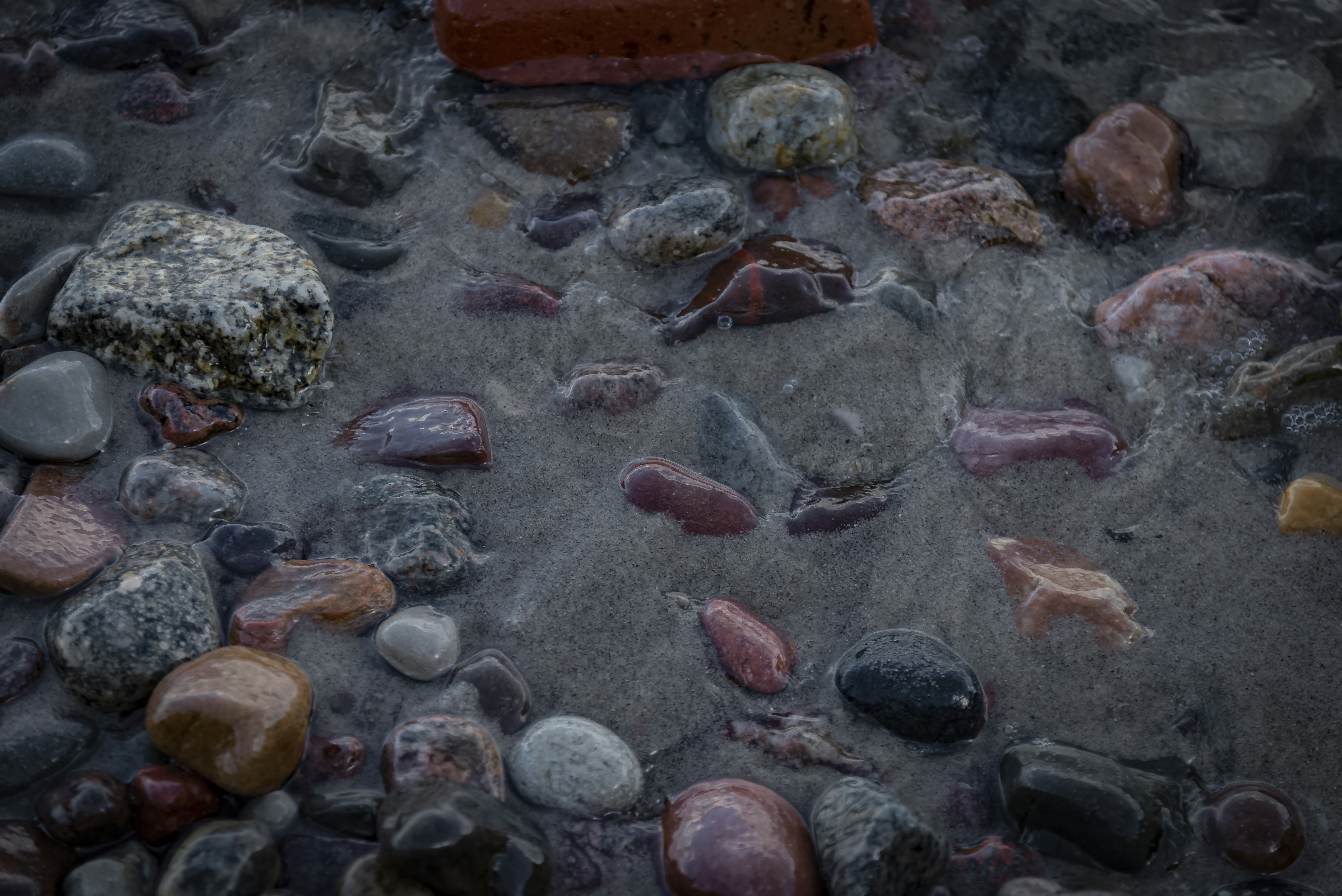 Whispers of the Shoreline: A Mosaic of Stones