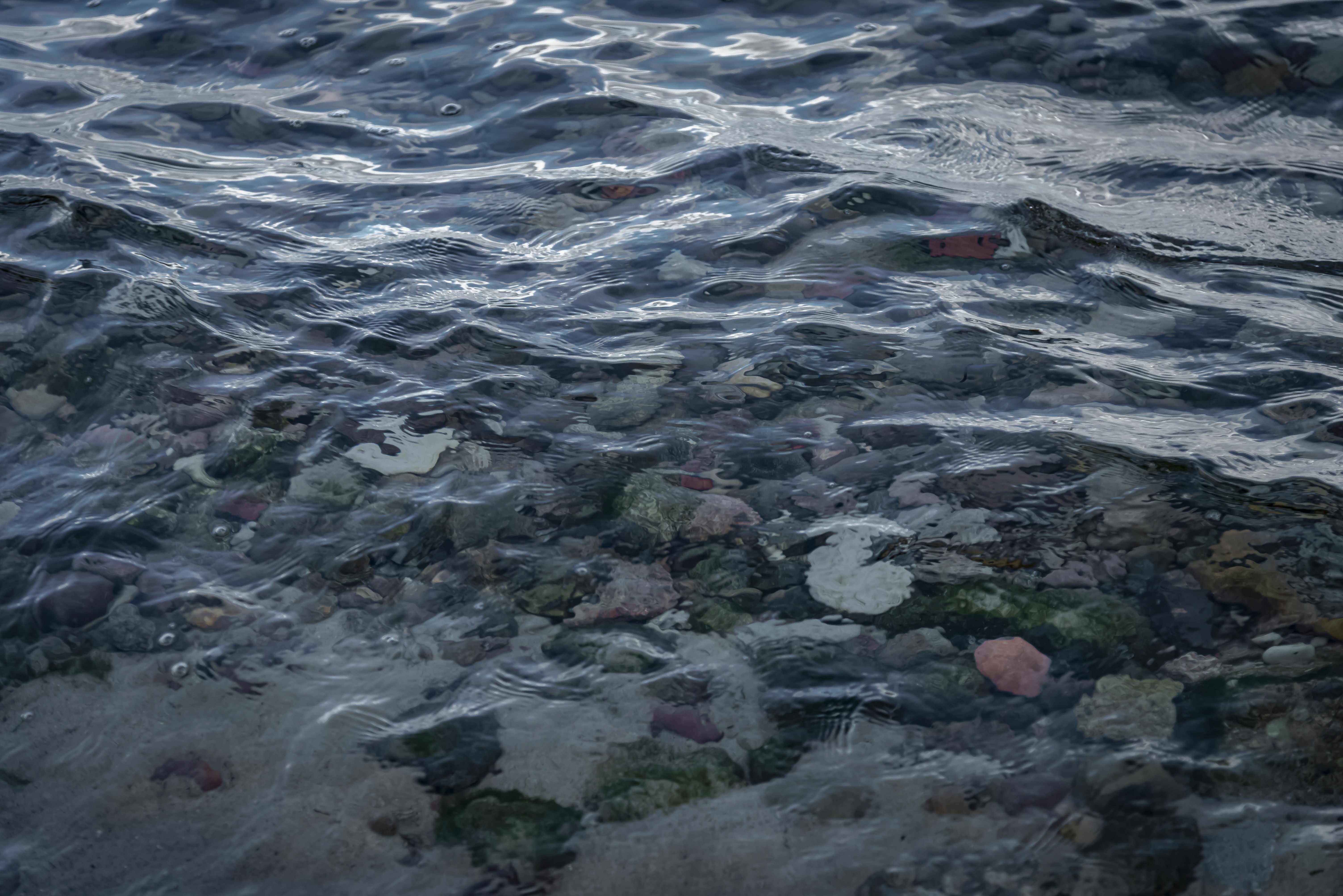 Clear water over colorful rocks and pebbles photo – Free Sea Image on ...