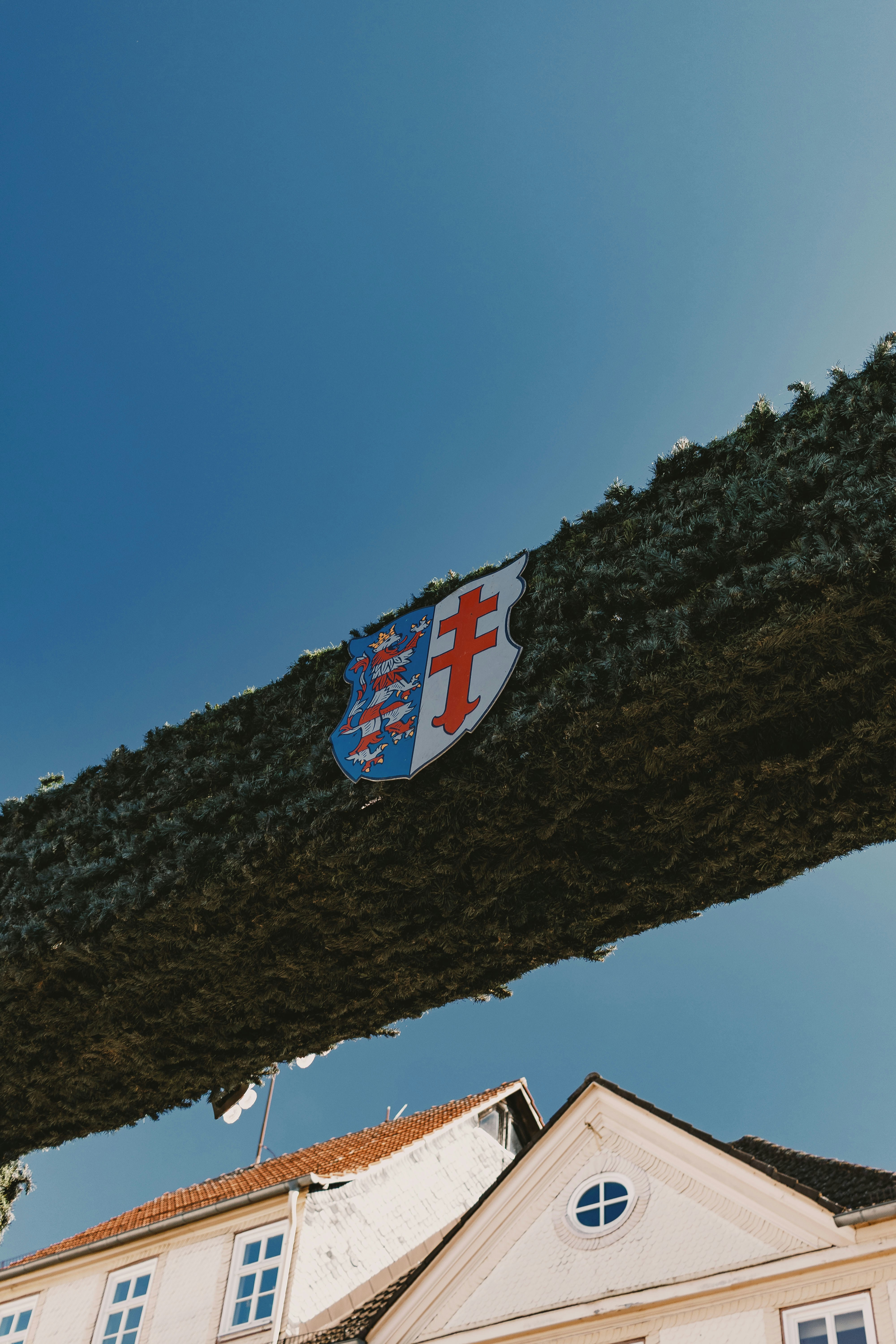 Heraldic Emblem Beneath the Canopy