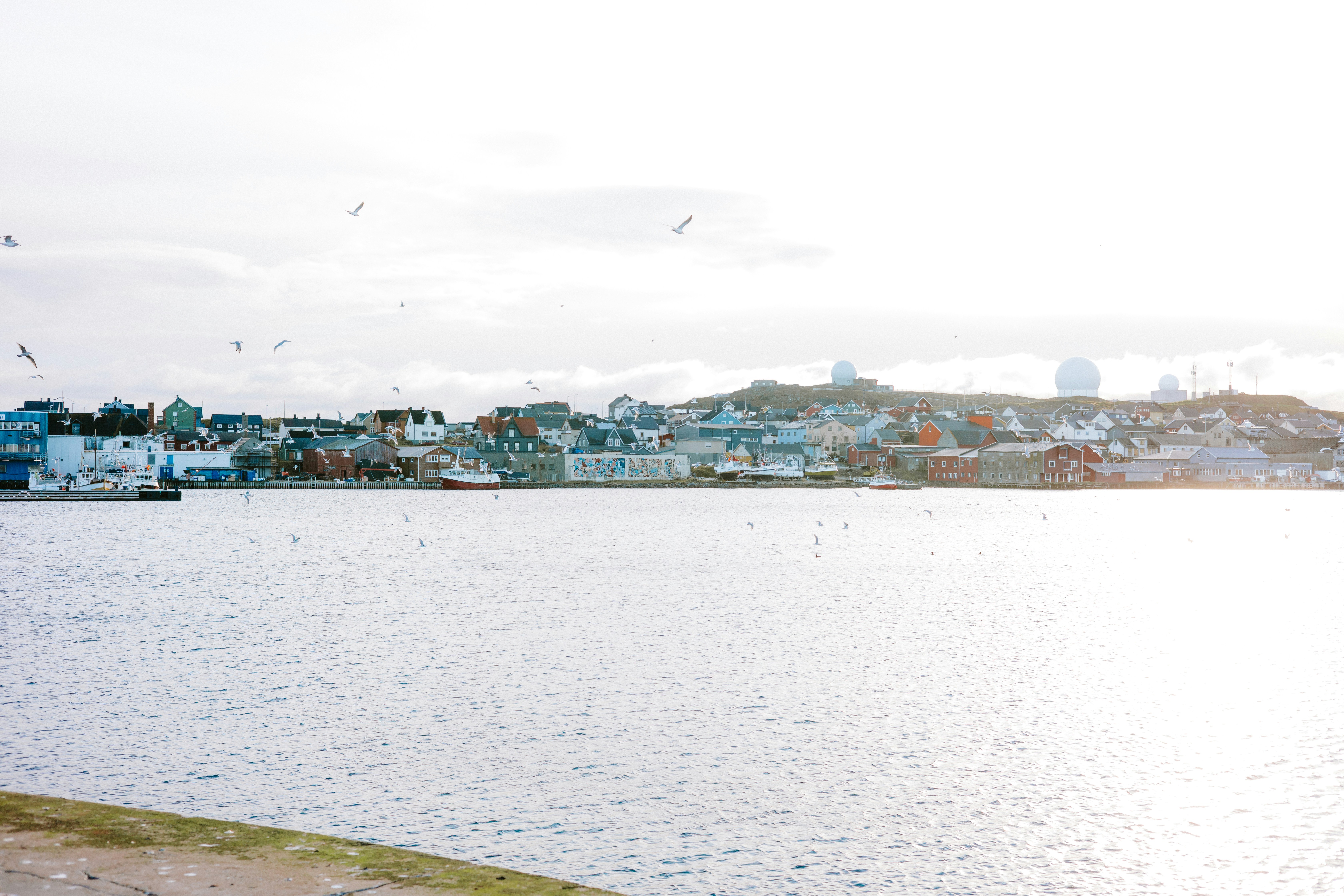 Quaint coastal town with colorful houses lining the waterfront, under a cloudy sky filled with seagulls. The serene water reflects the soft light of the day.