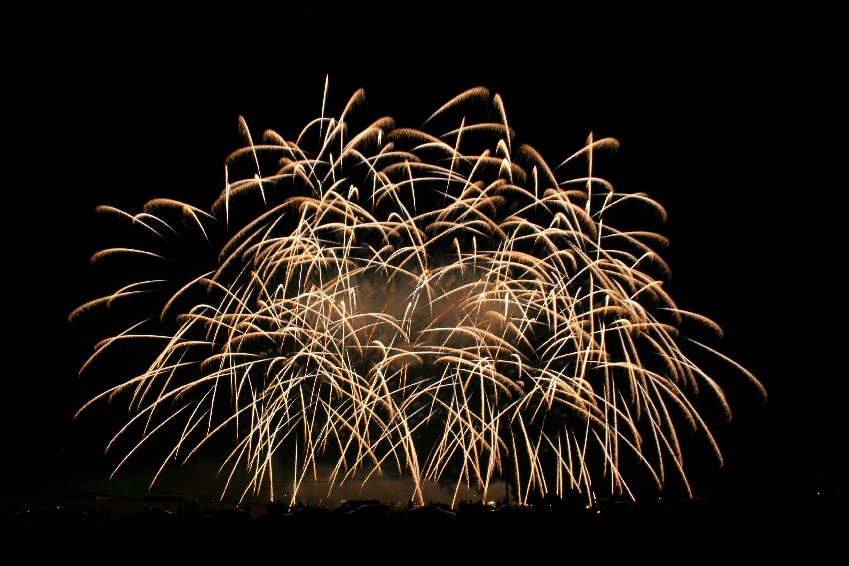 Gold Lace Over Midnight: Fireworks Bloom Across the Shore