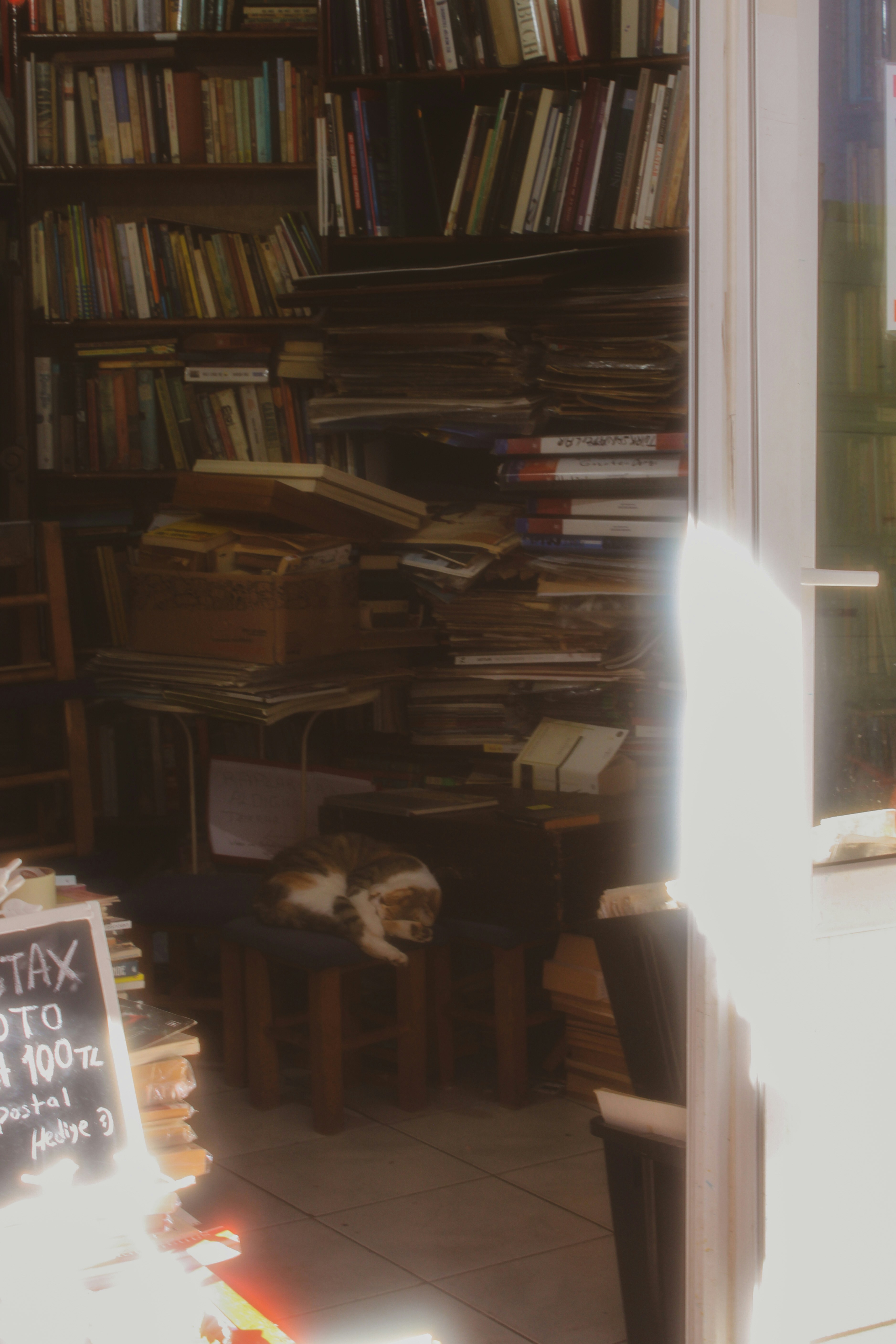 A cat sleeps on a stool in a bookstore.