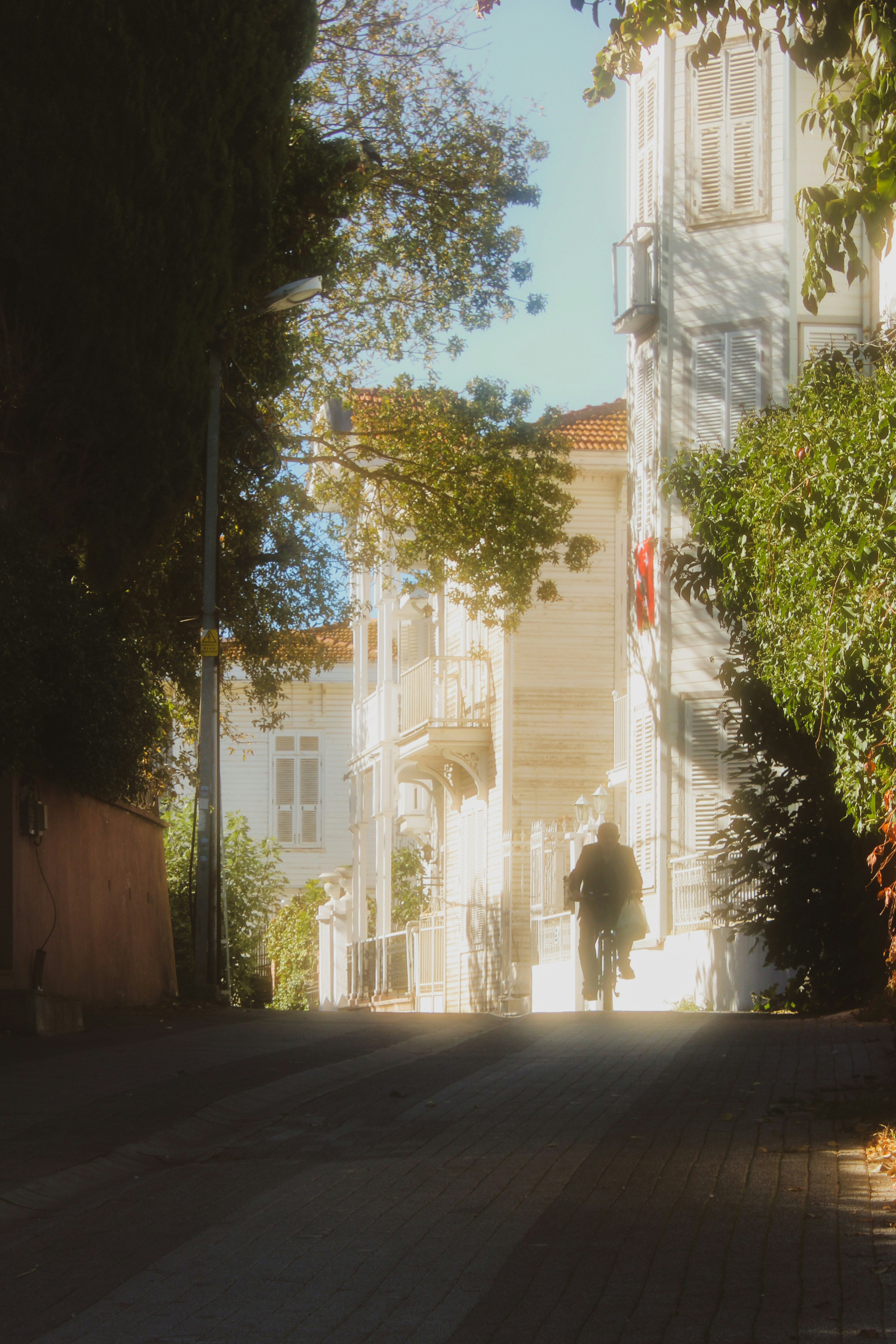 Person riding bicycle down sunlit street