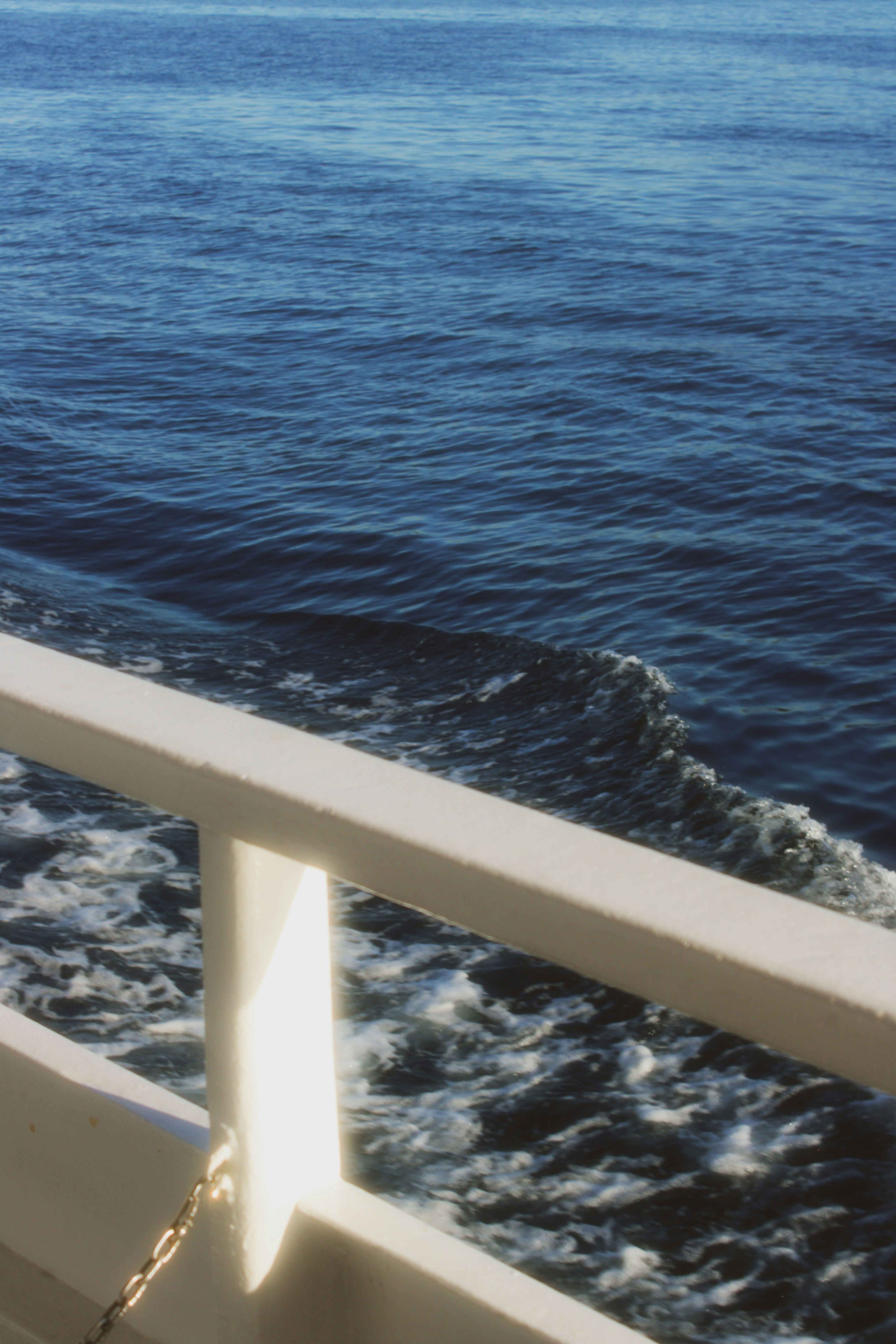 Edge of the Wake: White Rail and Deep Ocean