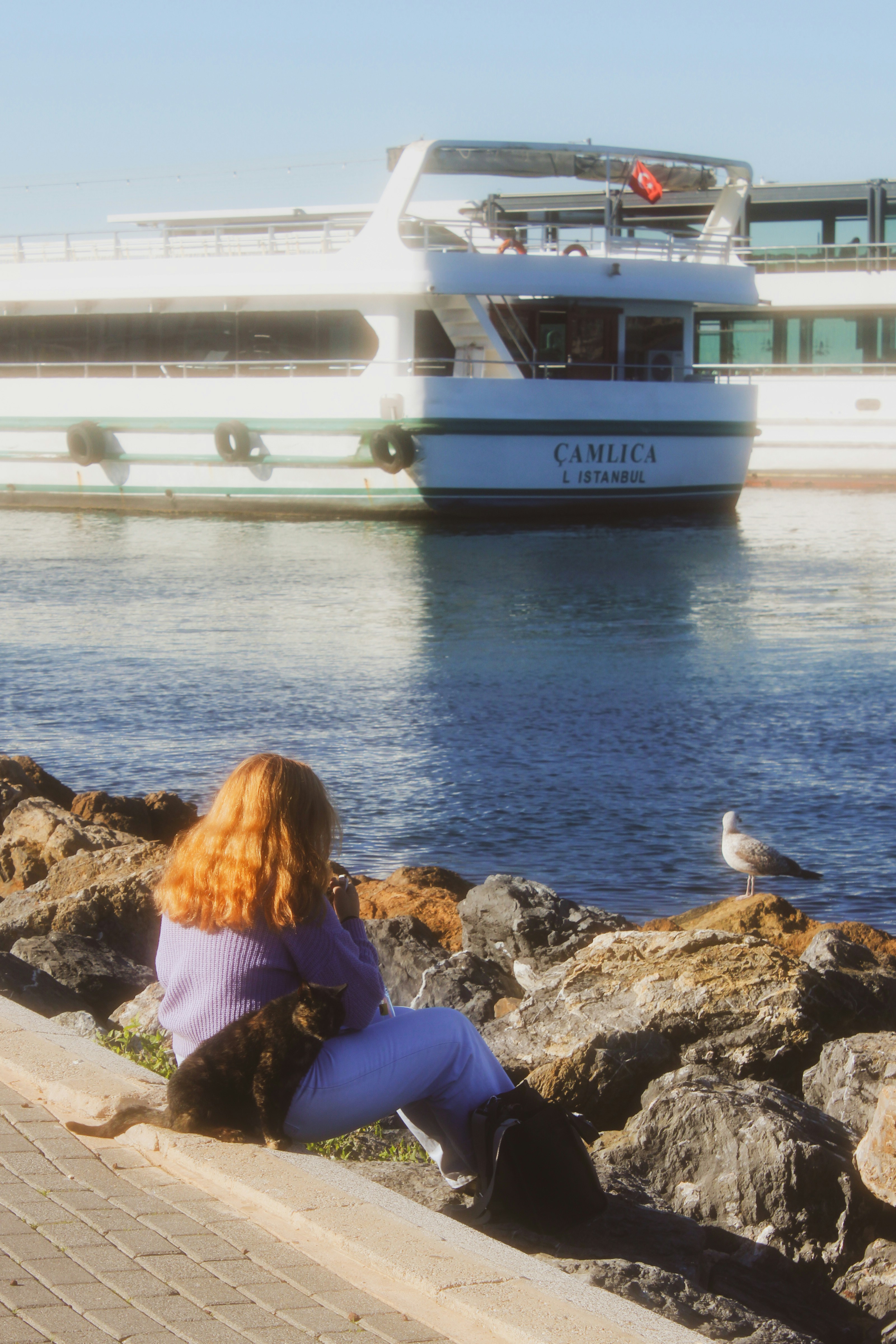 Serenity by the Waterside
