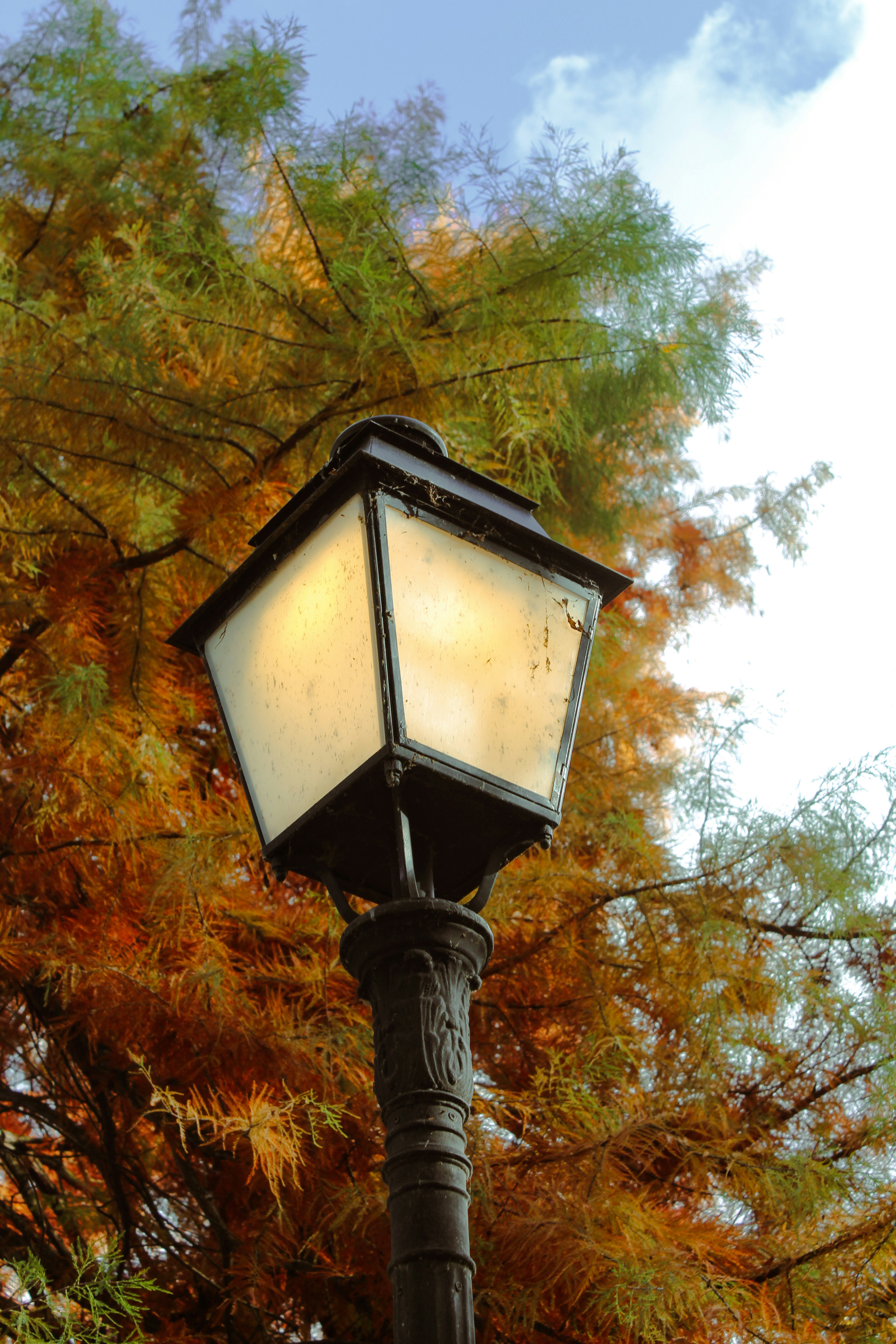 Old street lamp with autumn tree in background
