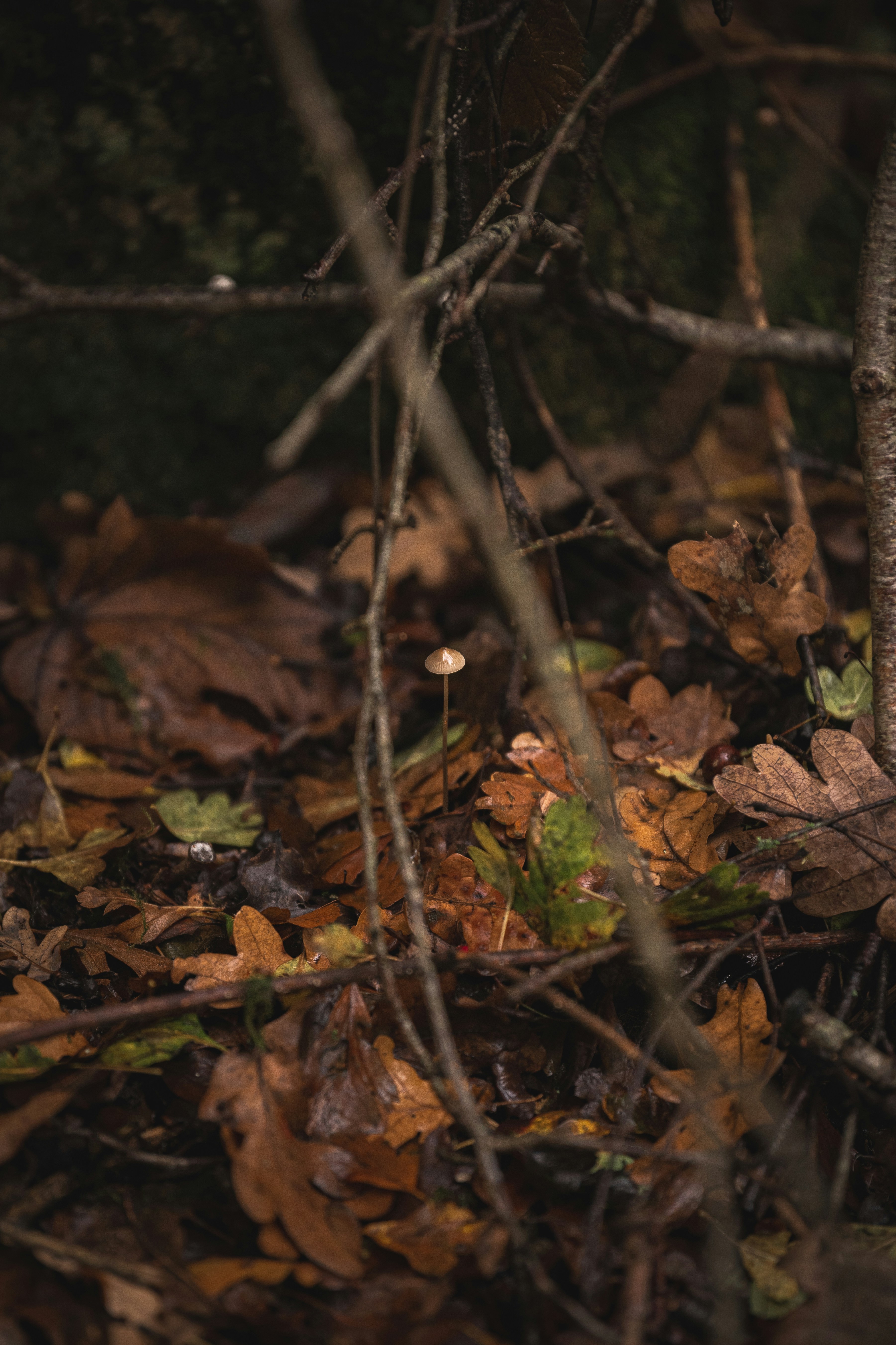 Elly M (@ellyendeavours) | Unsplash 사진 커뮤니티