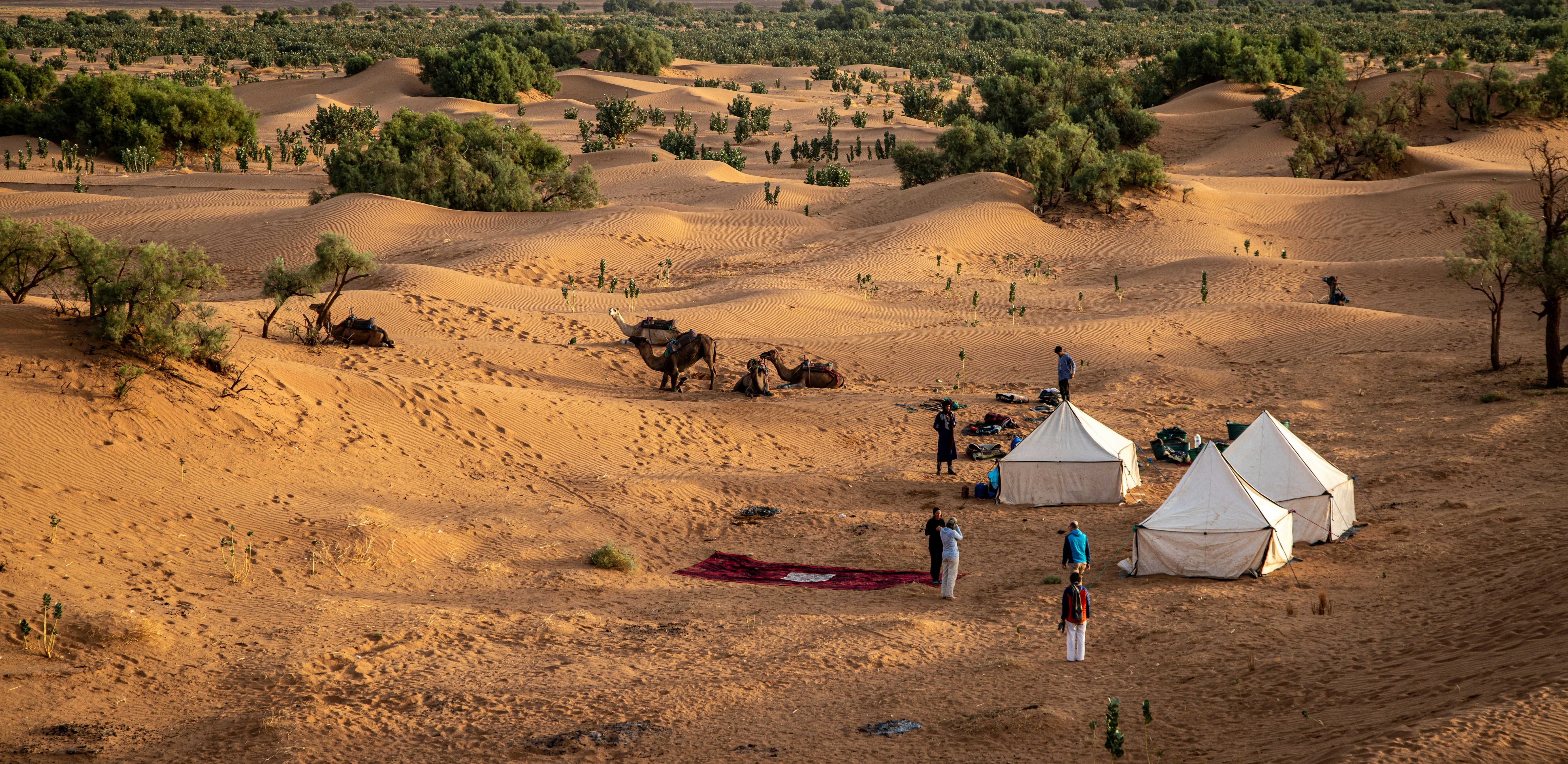Desert Encampment: A Harmony of Nature and Humanity