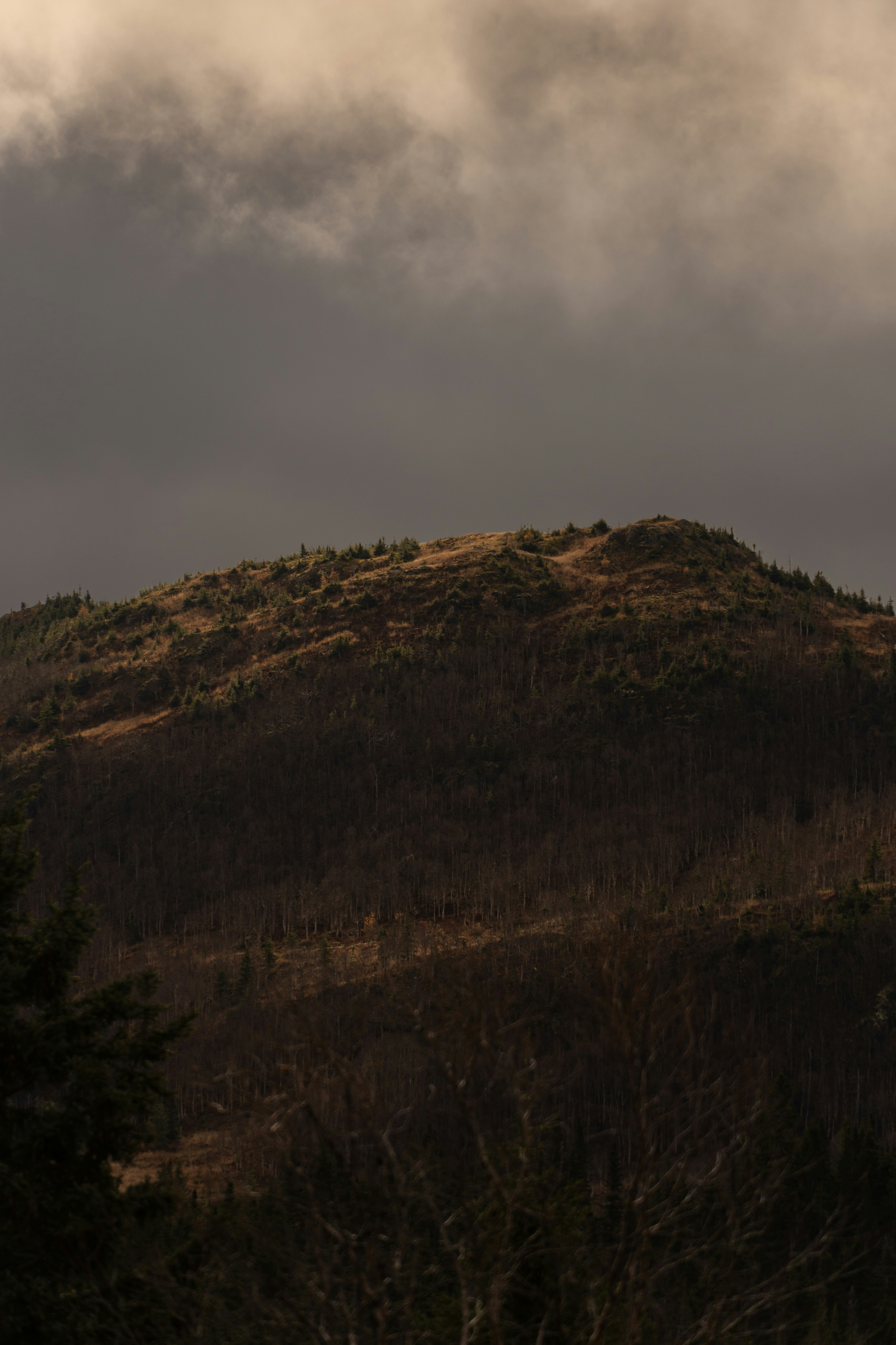 Whispers of the Mountain's Edge