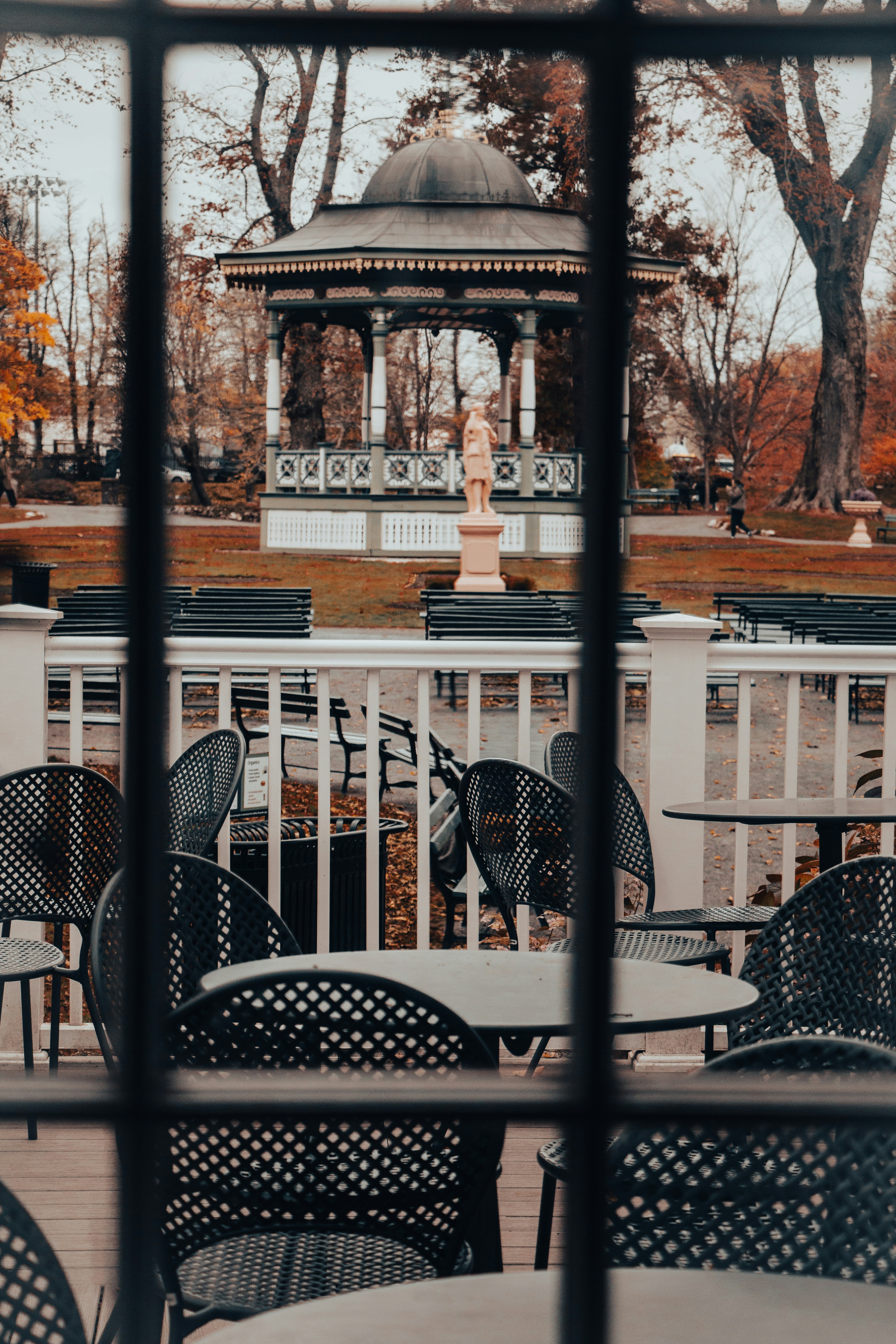 A Glimpse Through the Grille: Autumn's Serenity