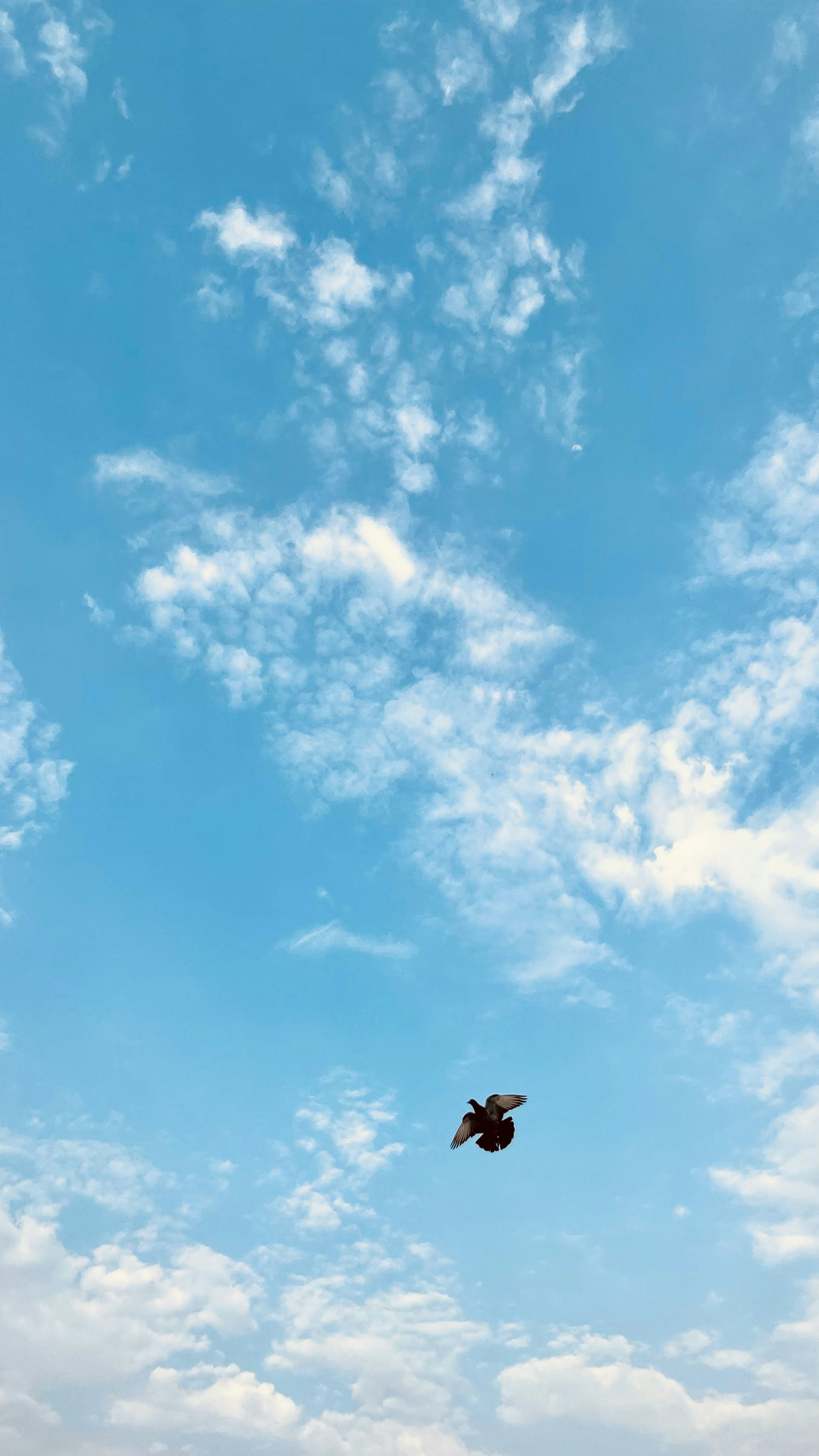 A Dance Above the Clouds