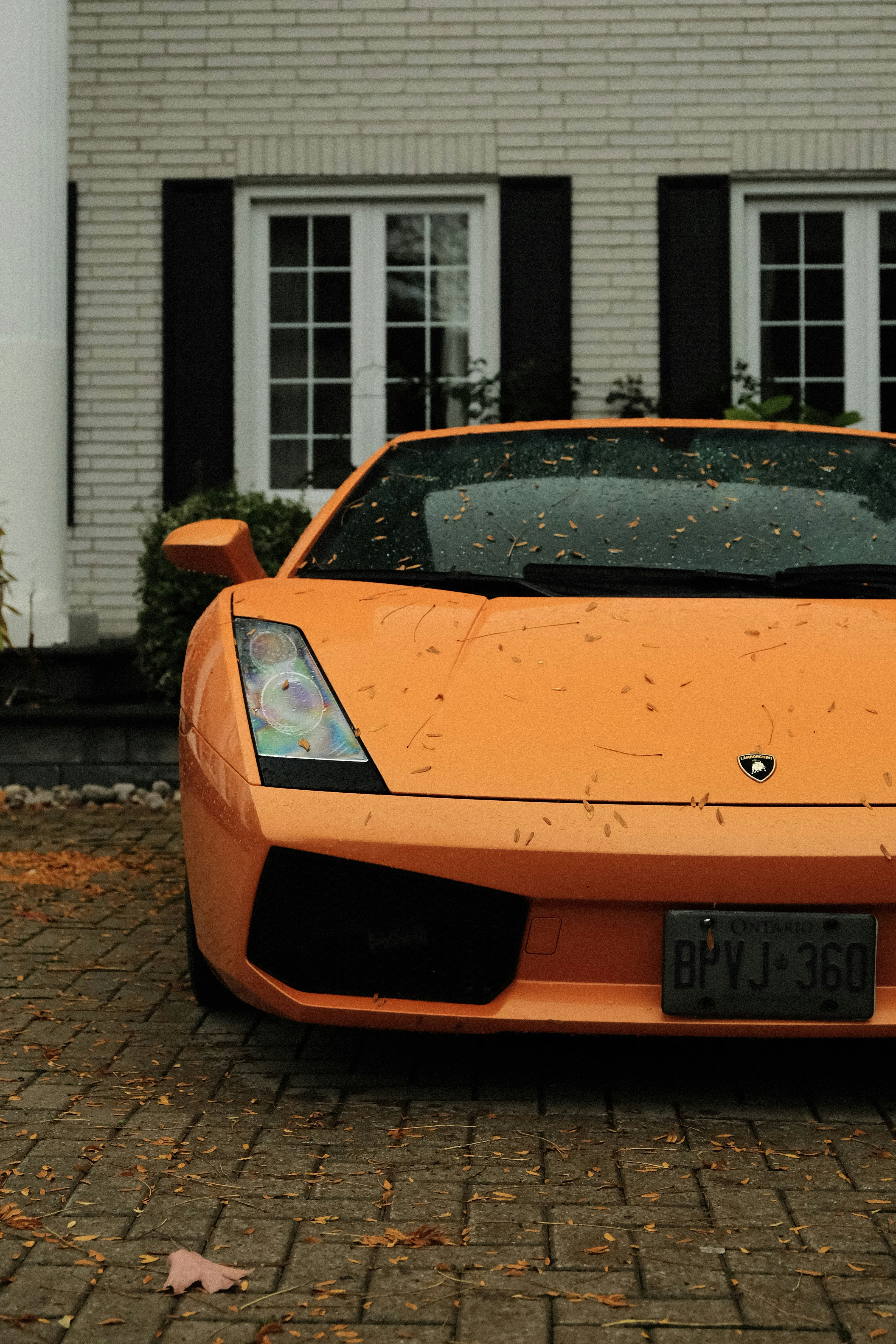 Orange Precision: Front-Quarter Lamborghini Framed by a Leaf-Littered Driveway