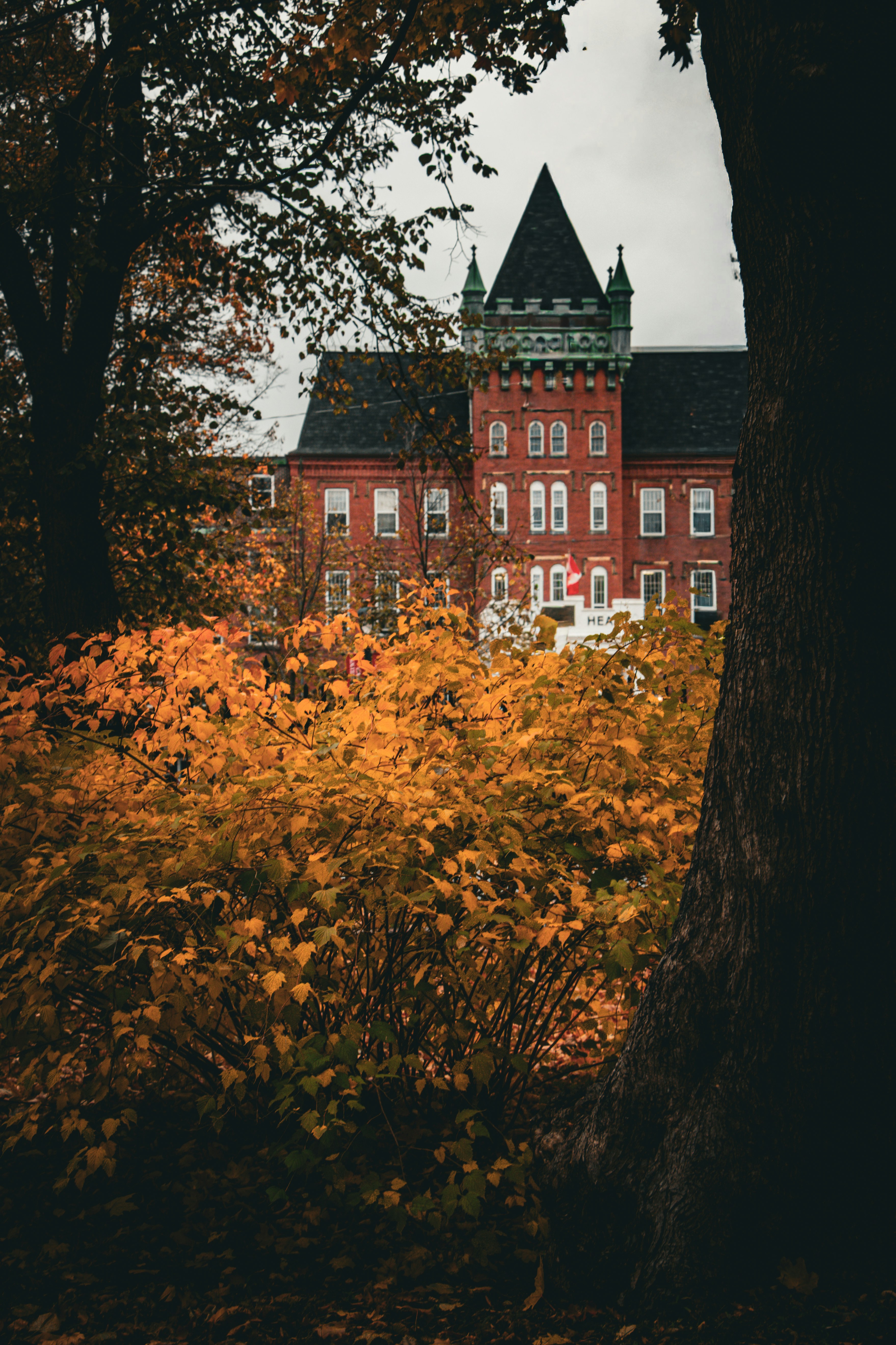 Autumn's Embrace: A Glimpse of Historic Elegance