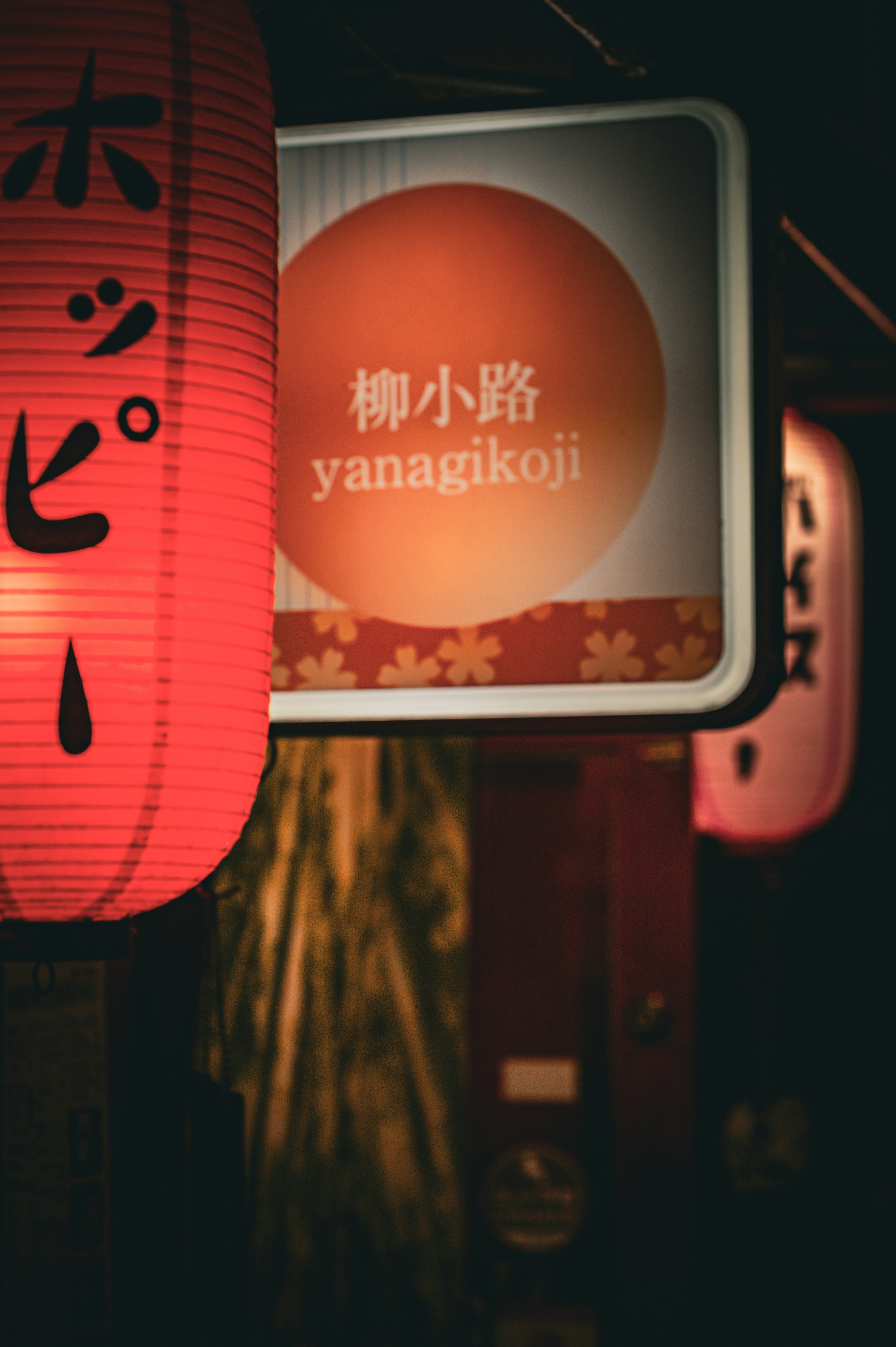 Illuminated Pathways: A Glimpse into Yanagikoji