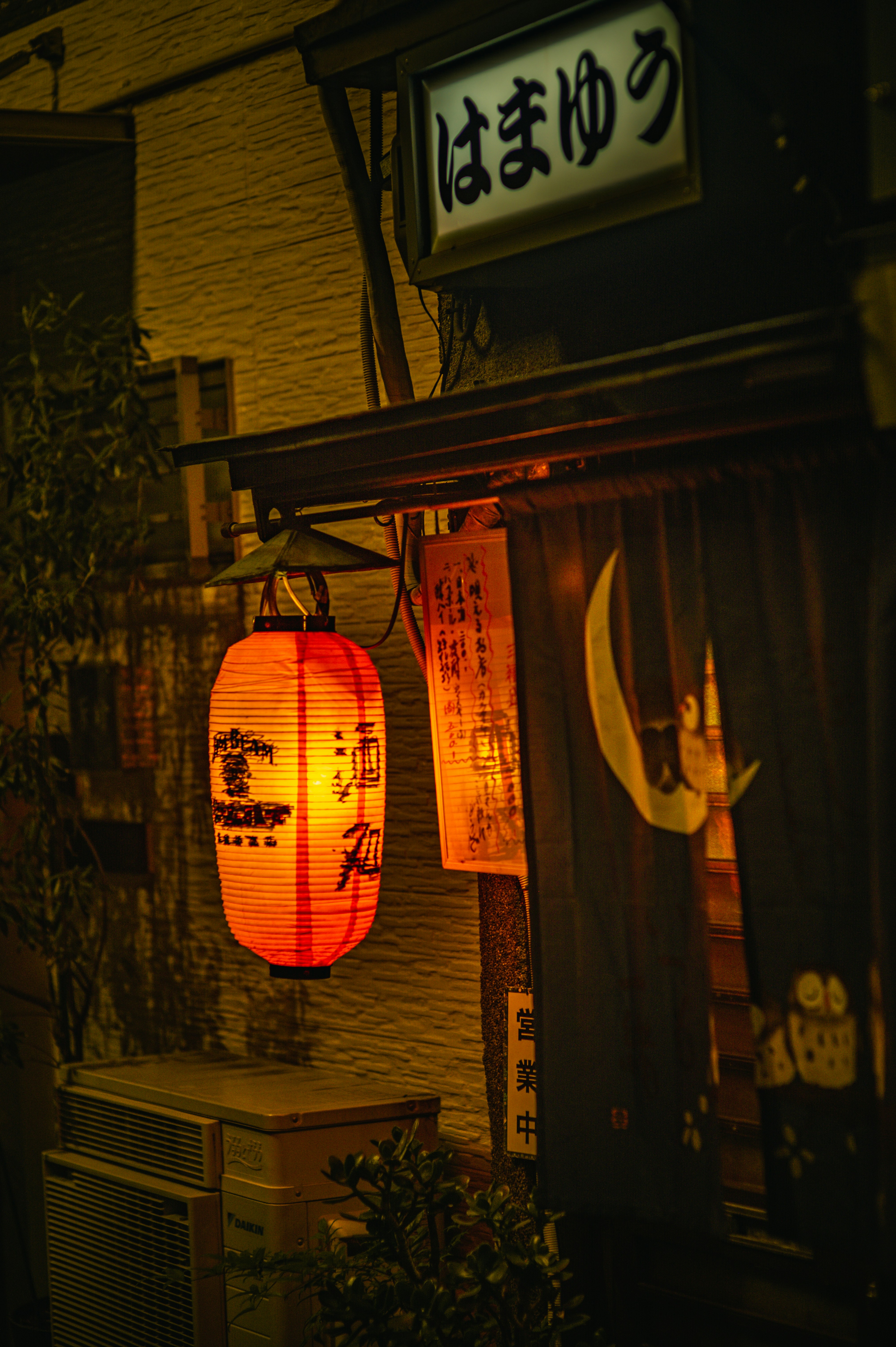 Illuminated Tradition: The Essence of Nighttime Japan