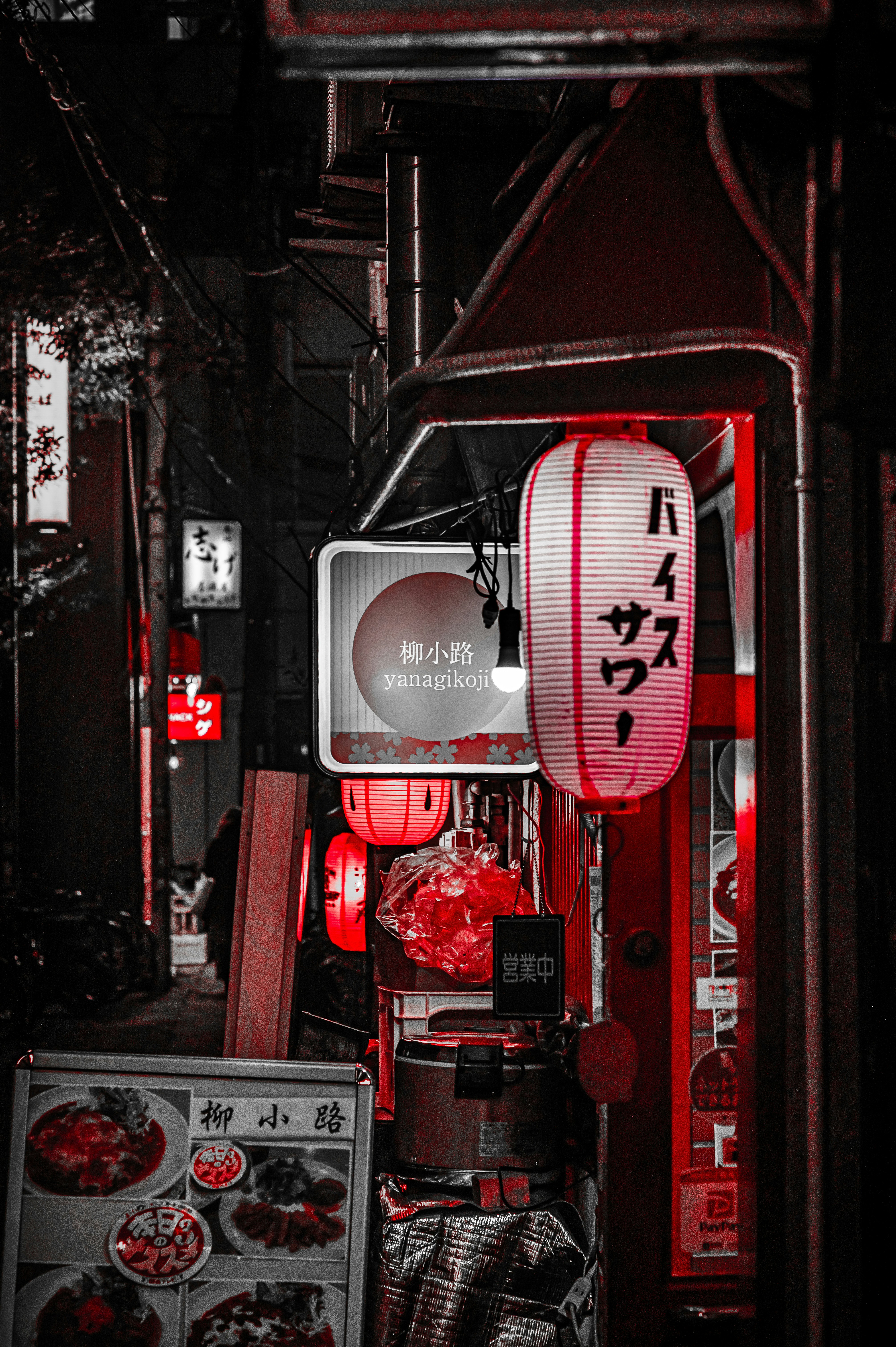 Neon Echoes in the Heart of Yanagikoji